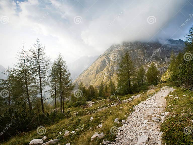 Follow the Path. Do Not Deviate. Stock Photo - Image of nature, high ...
