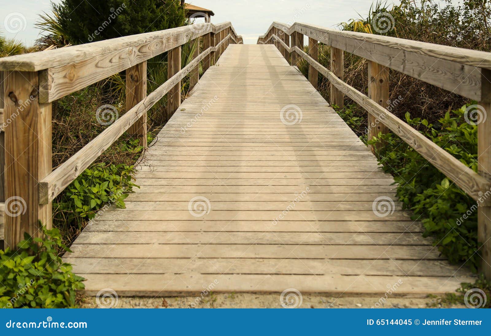 Follow the Path stock image. Image of green, coast, shadow - 65144045