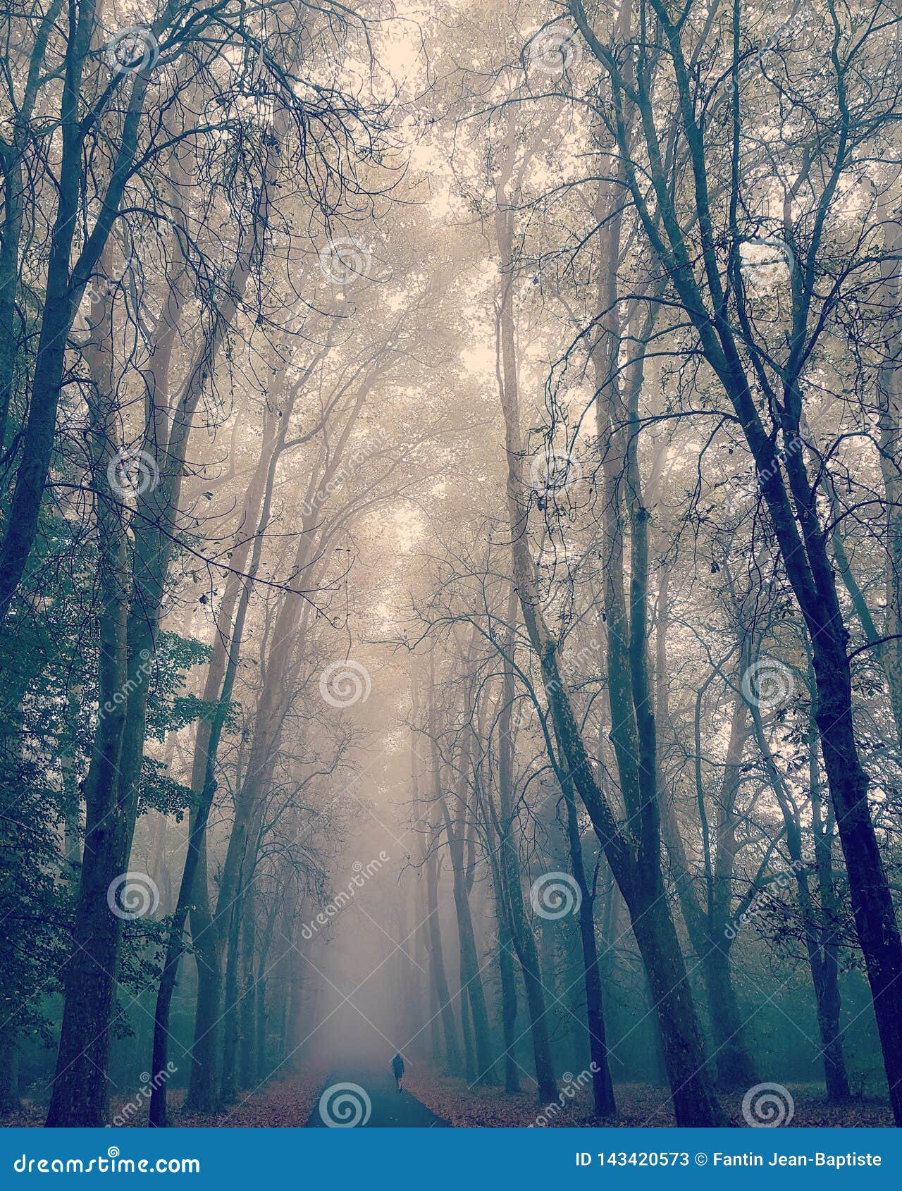 Follow the Path of Your Soul Stock Image - Image of follow, soul: 143420573