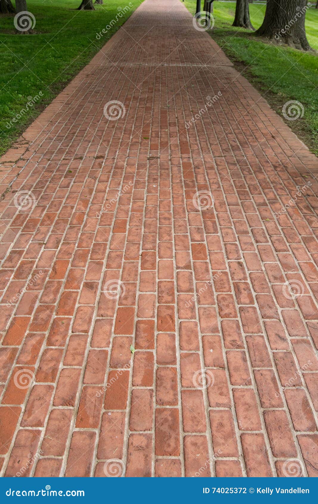 Follow the Red Brick Pathway Stock Photo - Image of pathway, pattern ...