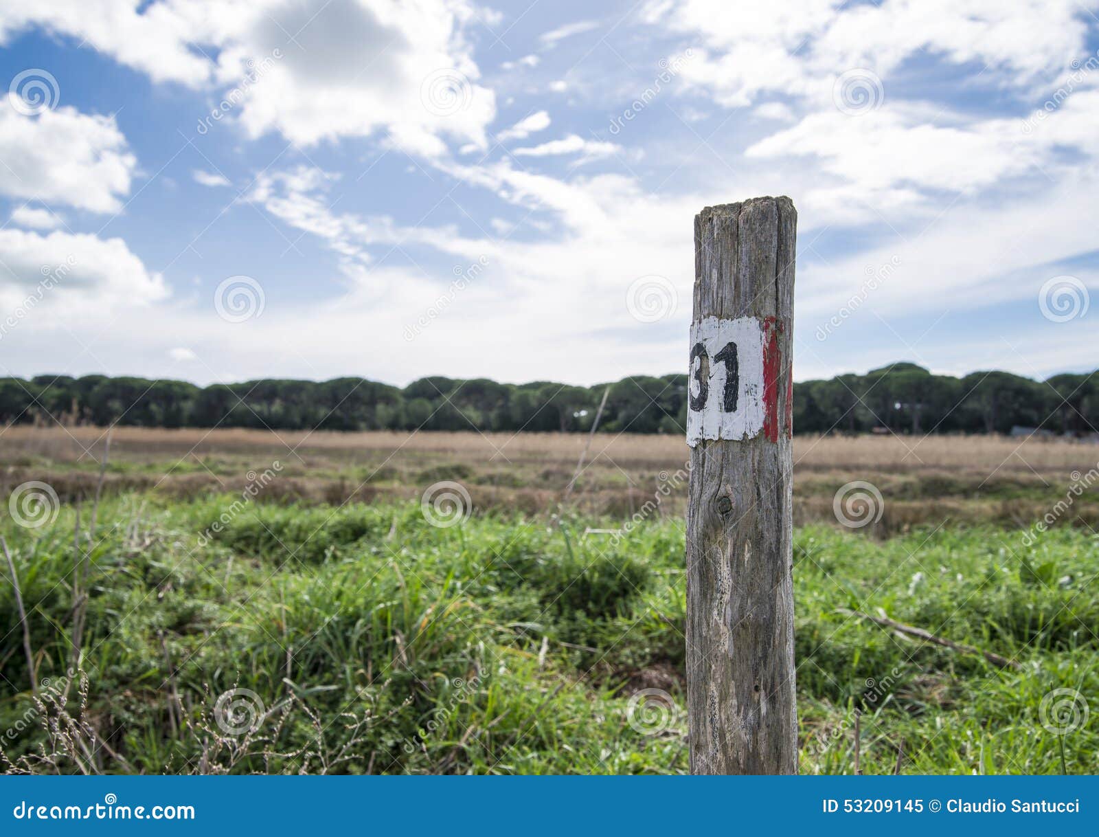 Follow the Right Path into the Wild Stock Image - Image of hanging ...