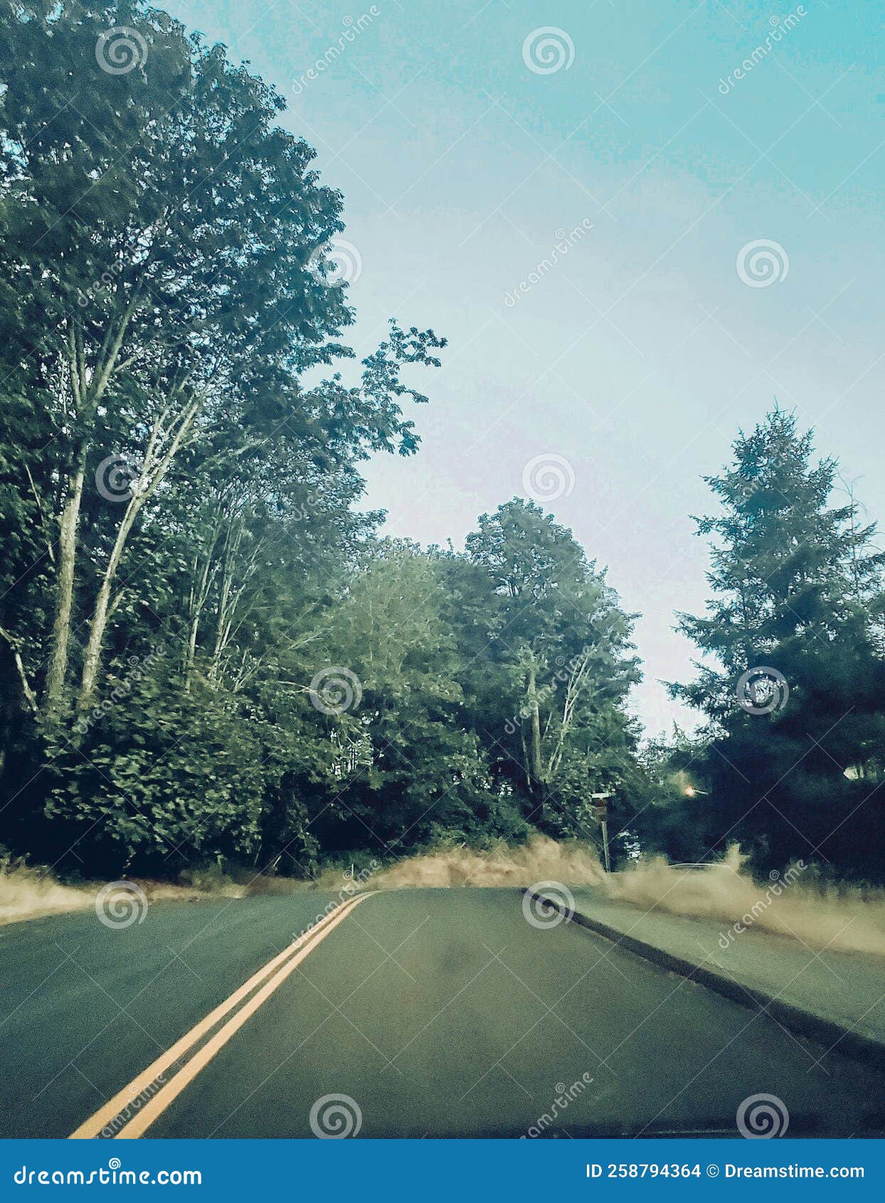 Follow the road stock photo. Image of yellow, road, nature - 258794364