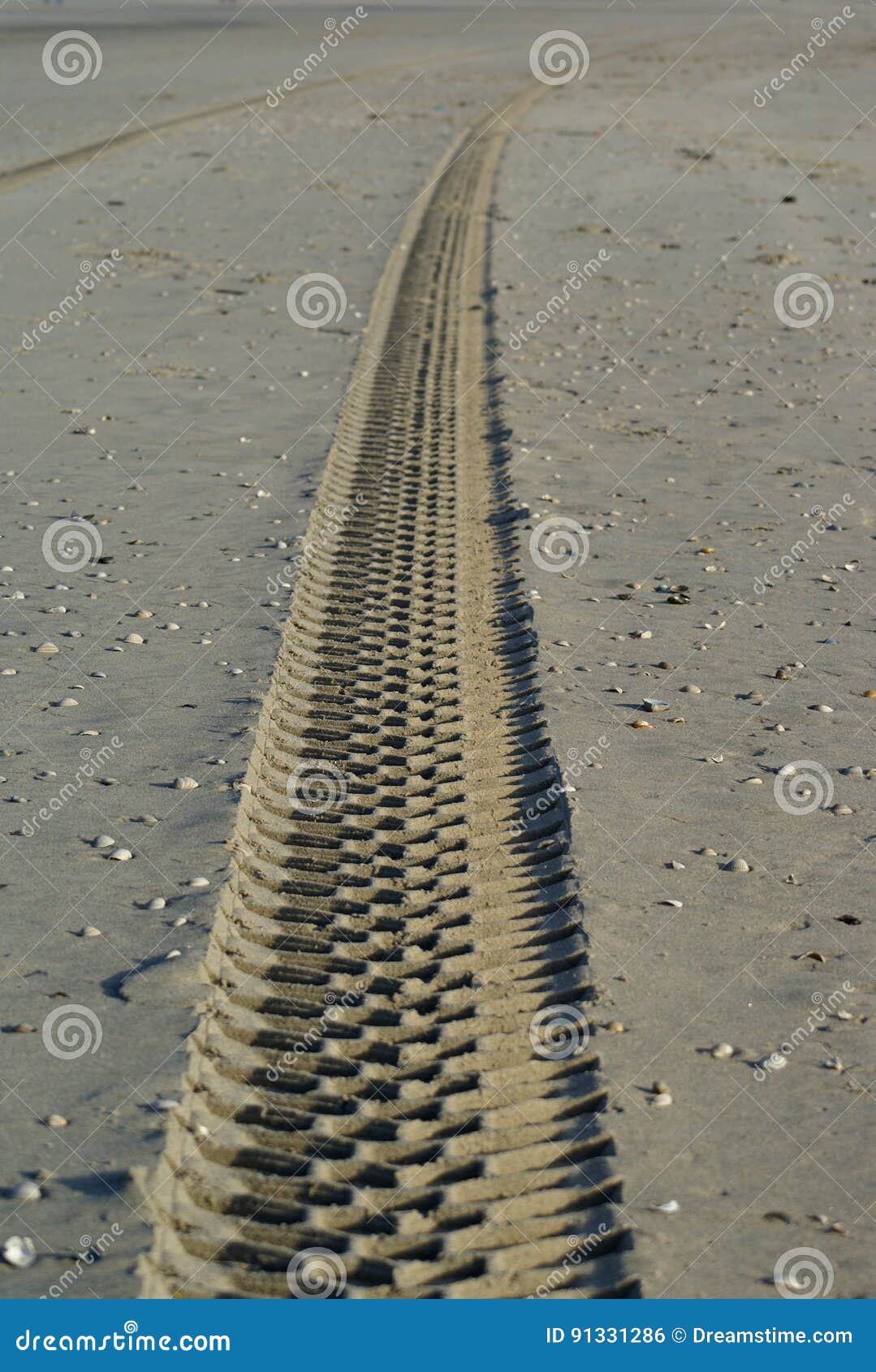 Follow the track stock photo. Image of follow, tracks - 91331286