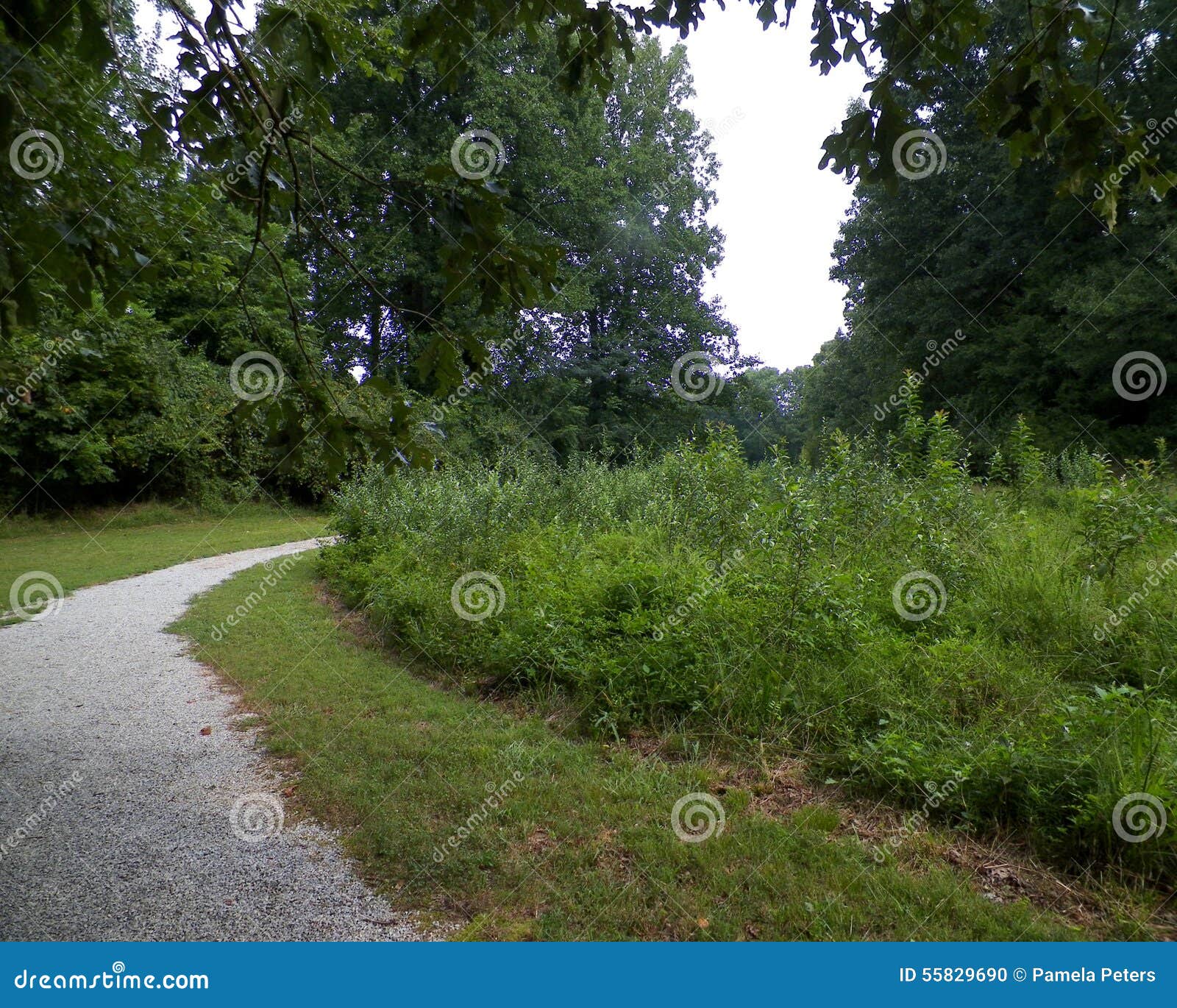 Follow the Trail stock photo. Image of park, hiking, colorful - 55829690