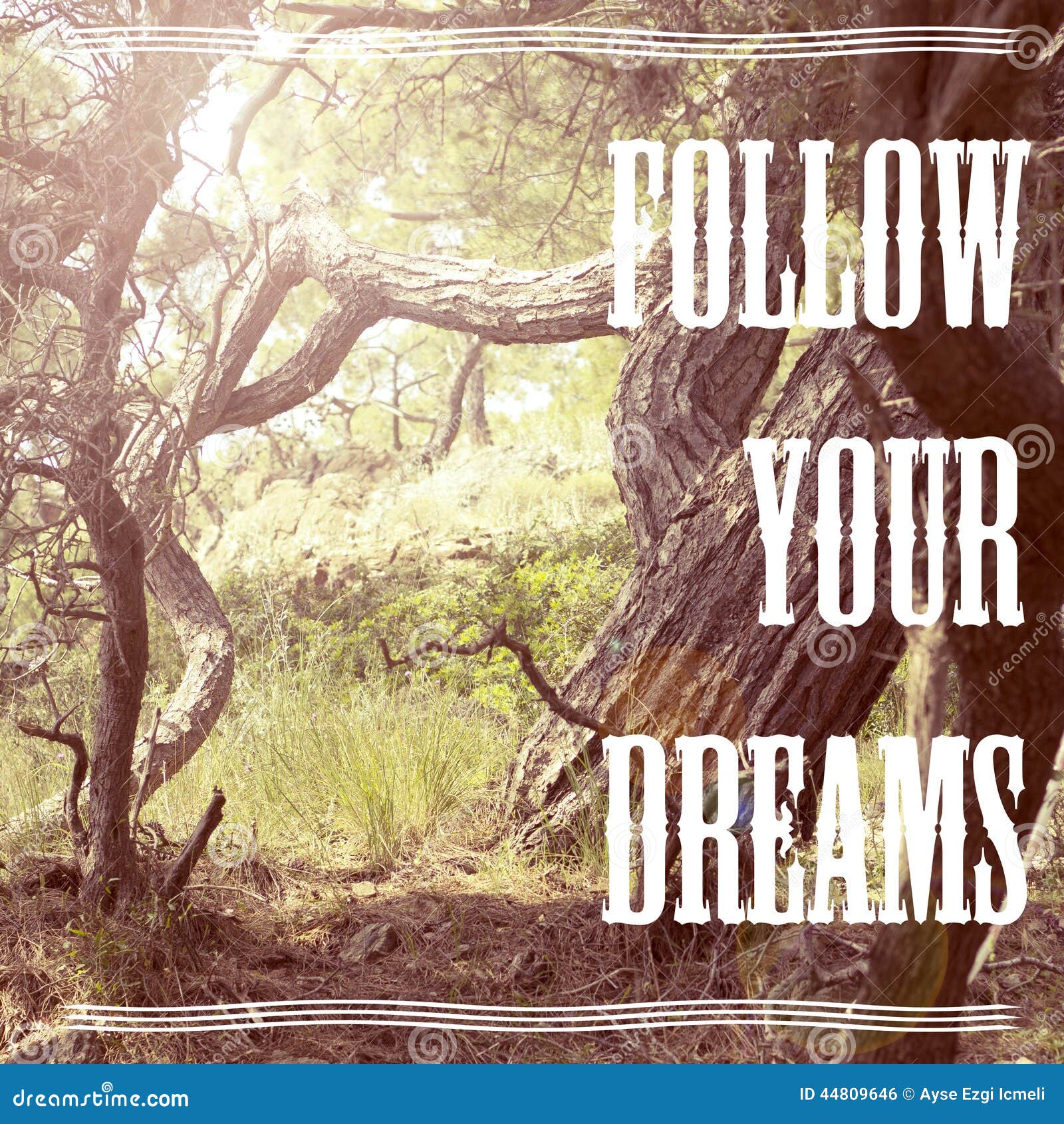 Follow Your Dreams stock photo. Image of follow, dream - 44809646