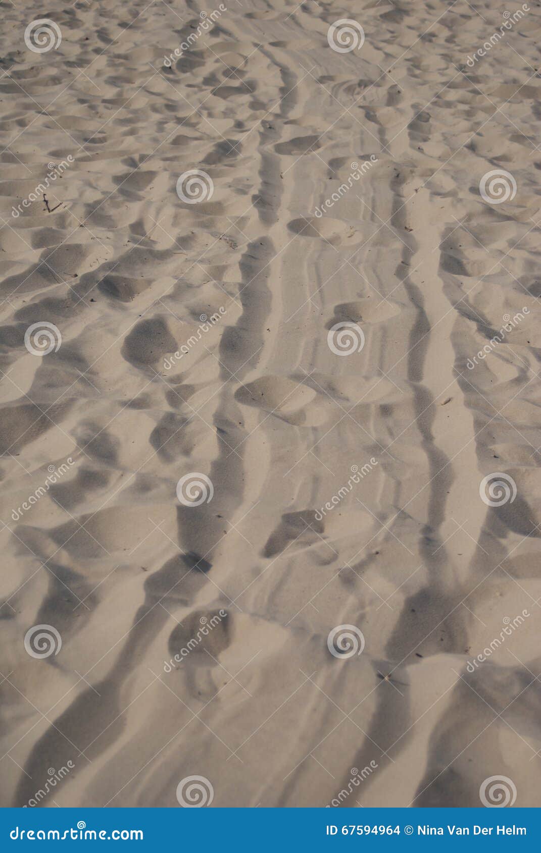 Follow your path stock photo. Image of path, strand, zand - 67594964