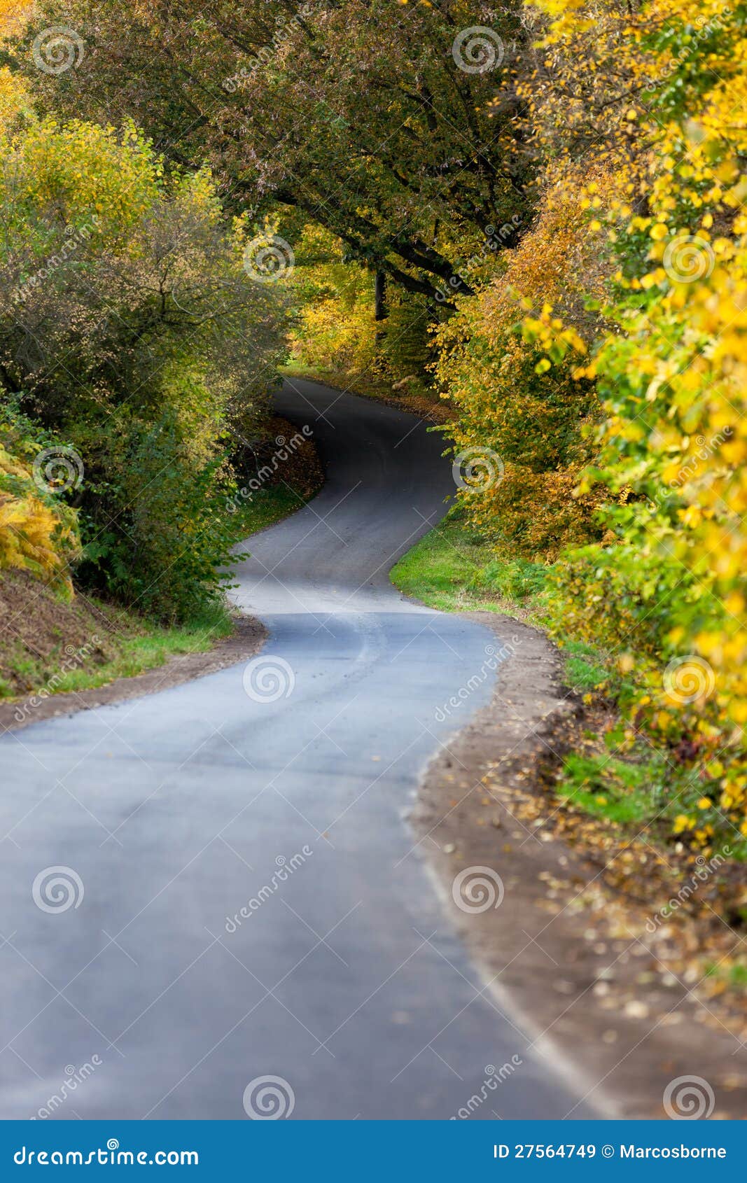 Following a path stock image. Image of form, swing, asphalt - 27564749