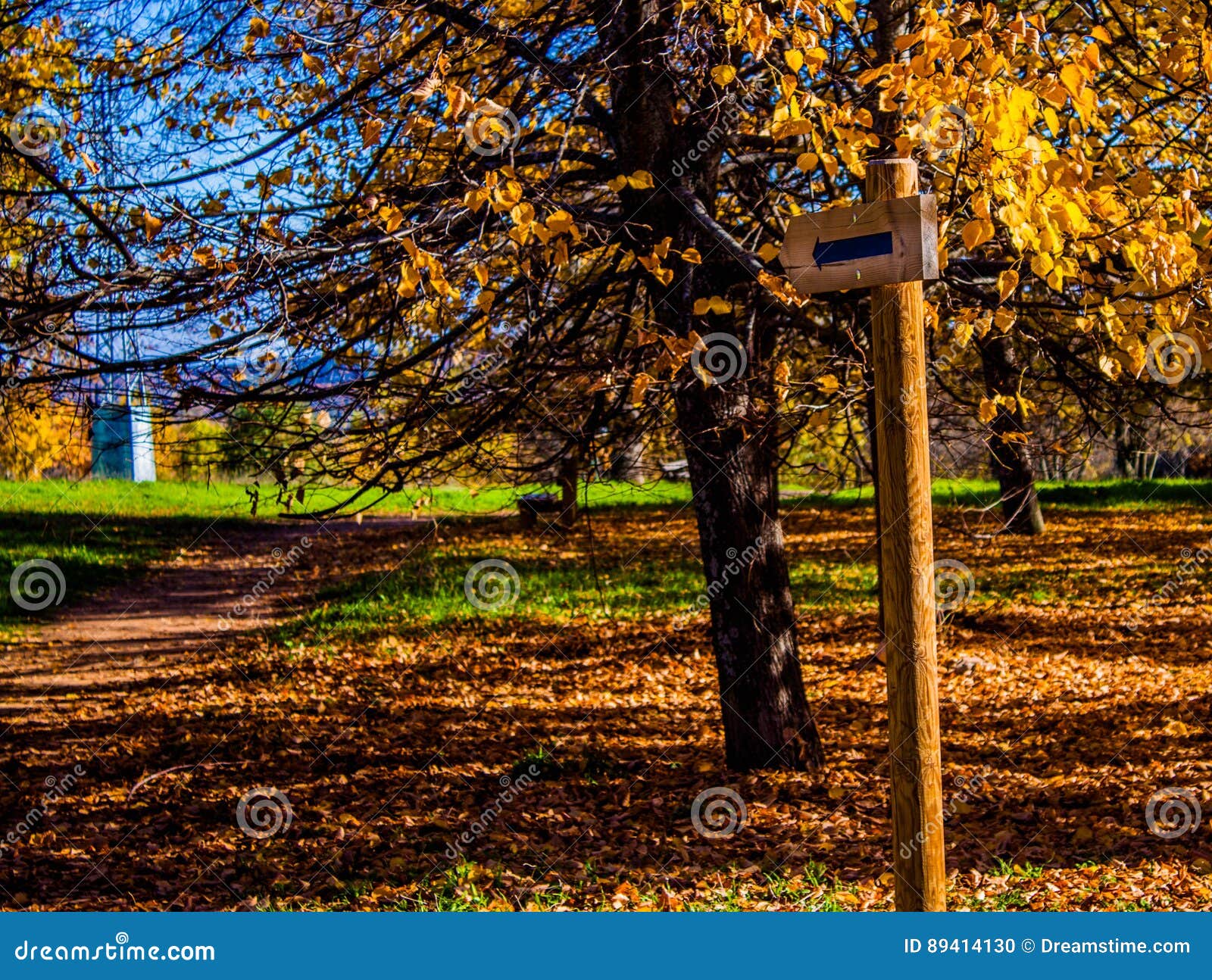 Following the path stock photo. Image of indicate, rule - 89414130