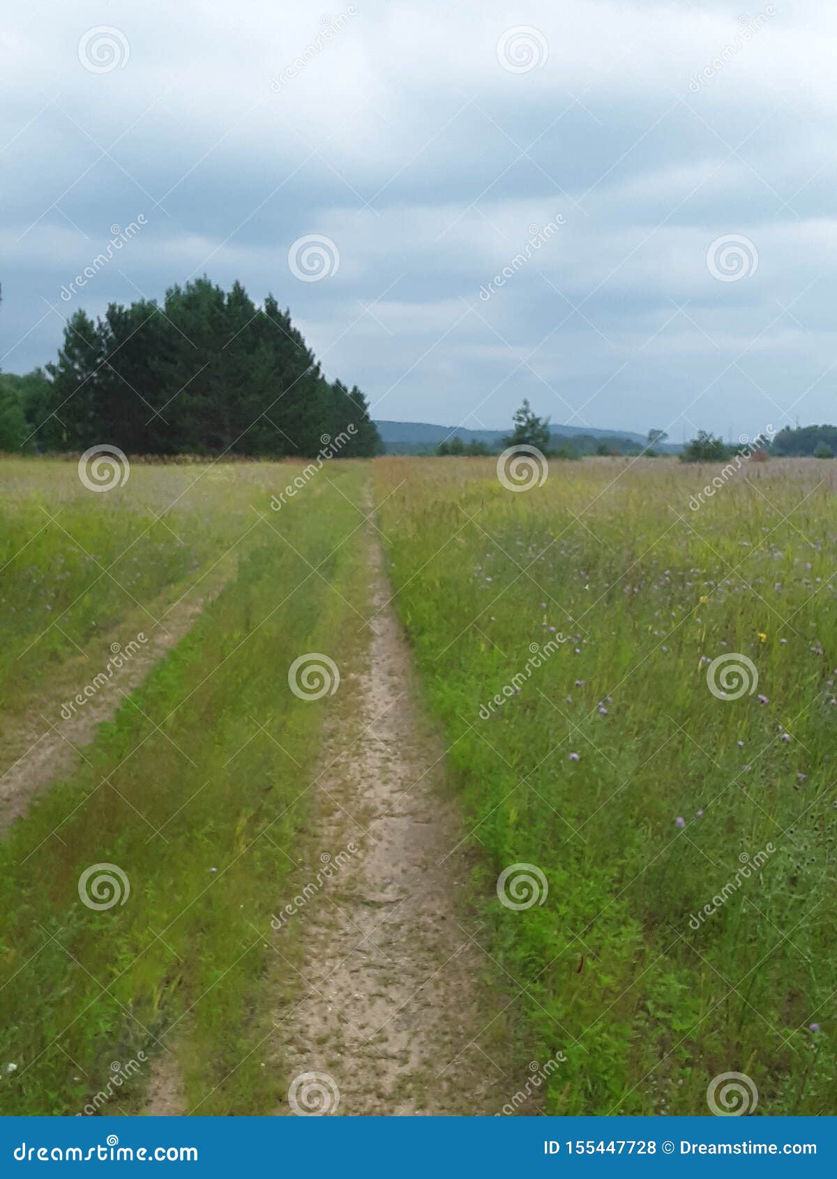 Following the trail stock photo. Image of clouds, trees - 155447728