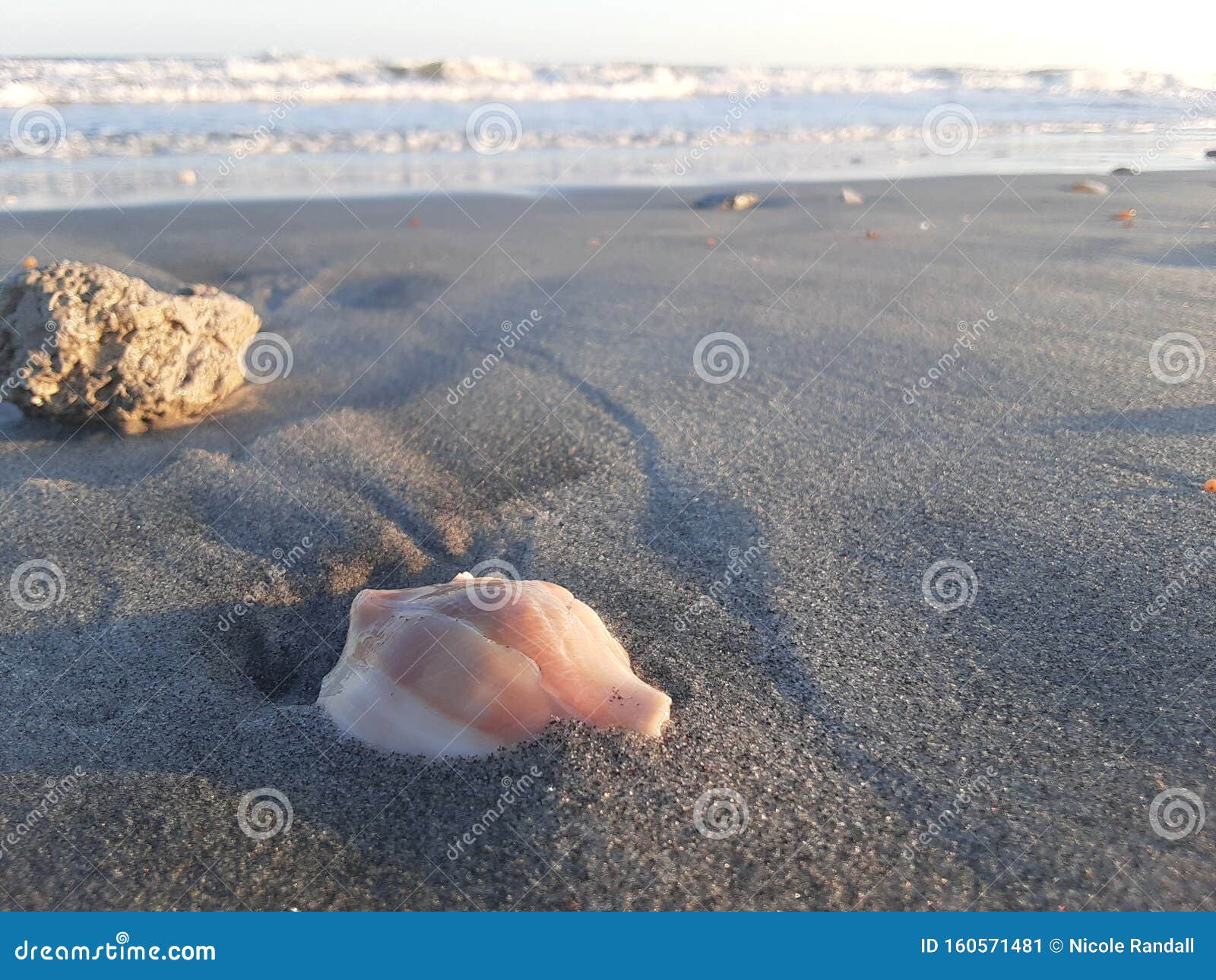 Folly beach Charleston stock image. Image of charleston - 160571481
