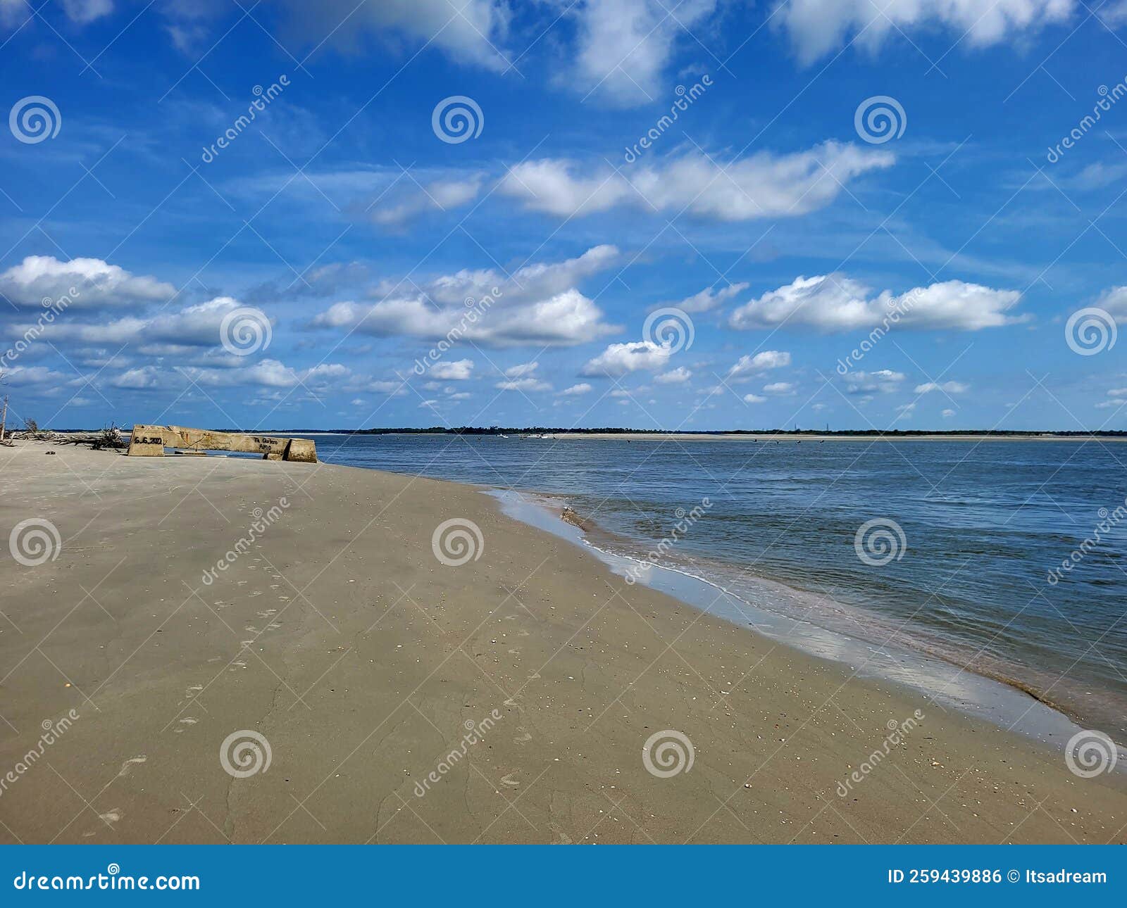 Folly beach South Carolina stock photo. Image of shore - 259439886