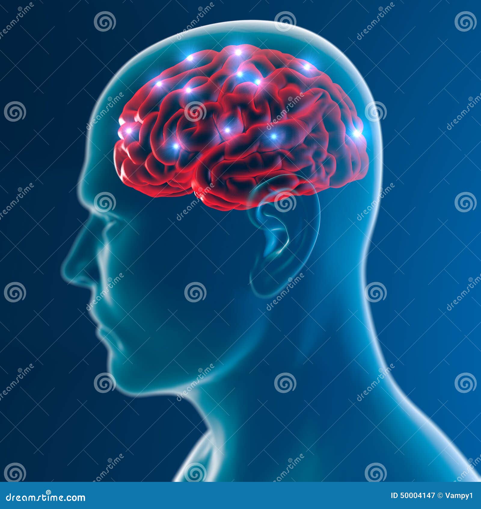 Fonctions De Synapse De Neurones De Cerveau Illustration Stock ...
