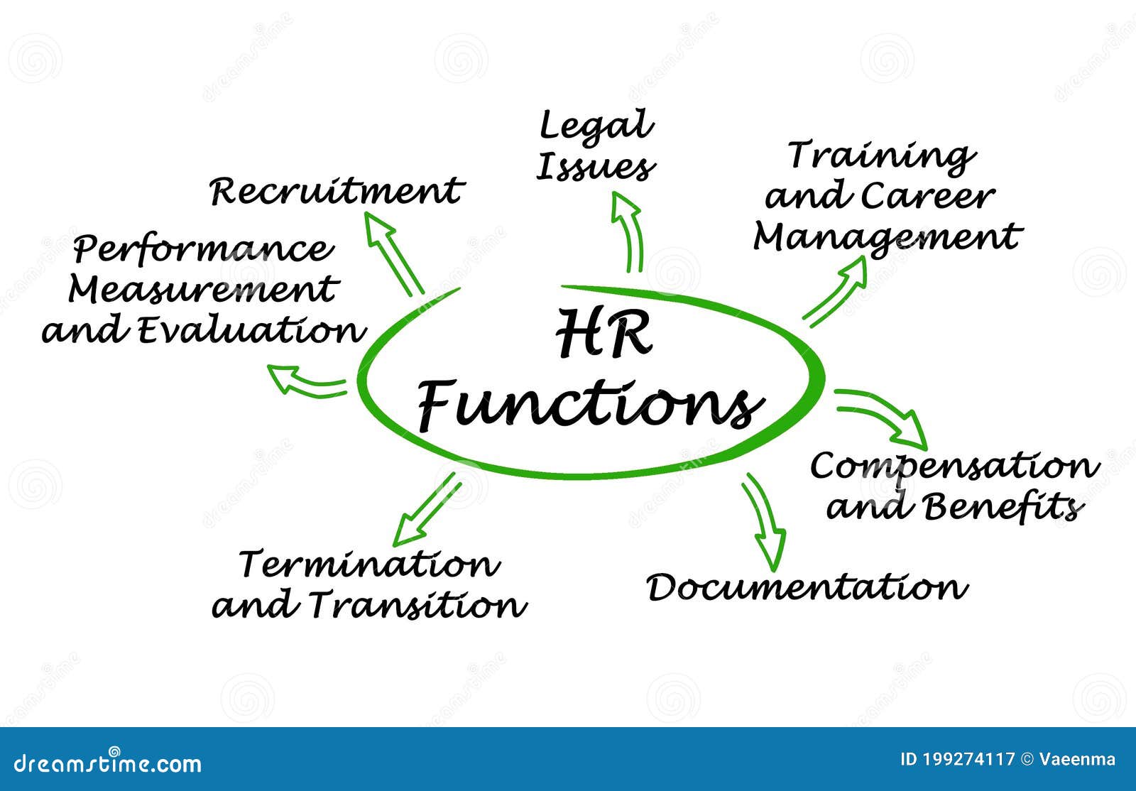 Fonctions Des Ressources Humaines Illustration Stock - Illustration du ...