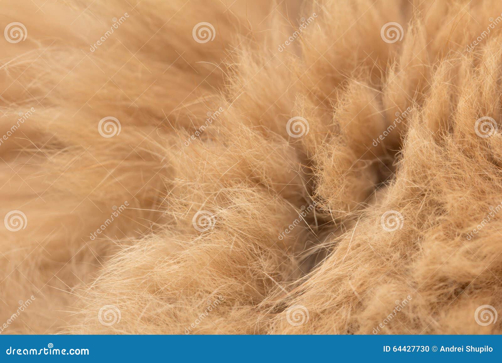 Fond Animal De Texture De Fourrure Photo stock - Image du cougar, série ...