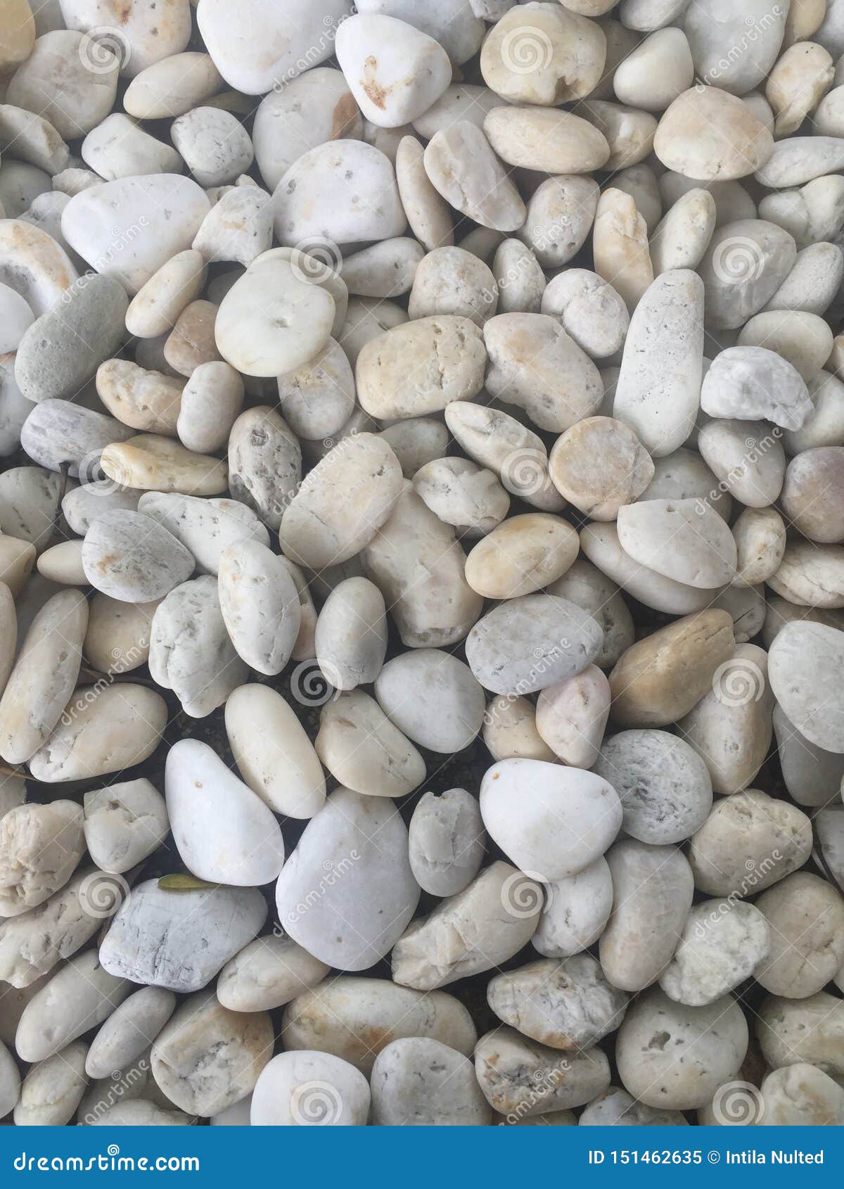 Fond Blanc De Texture De Pierre De Caillou Image stock - Image du ...