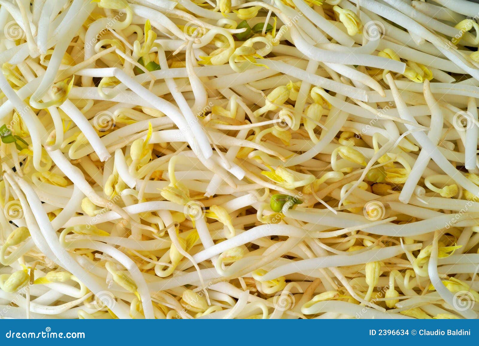 Fond D'instruction-macro De Pousse De Soja Photo stock - Image du ...