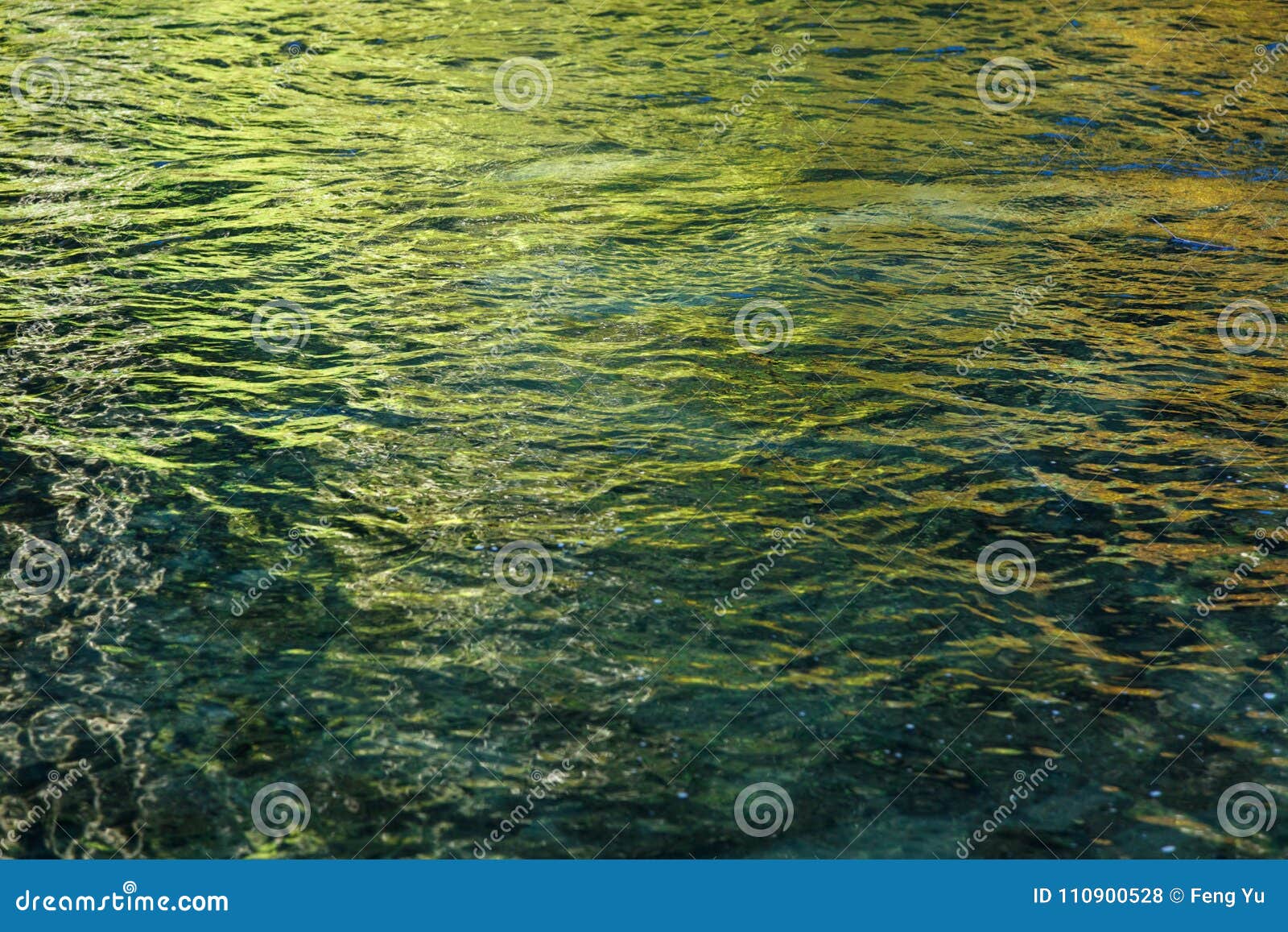 142,079 Fond De Vague Verte Photos libres de droits et gratuites de ...