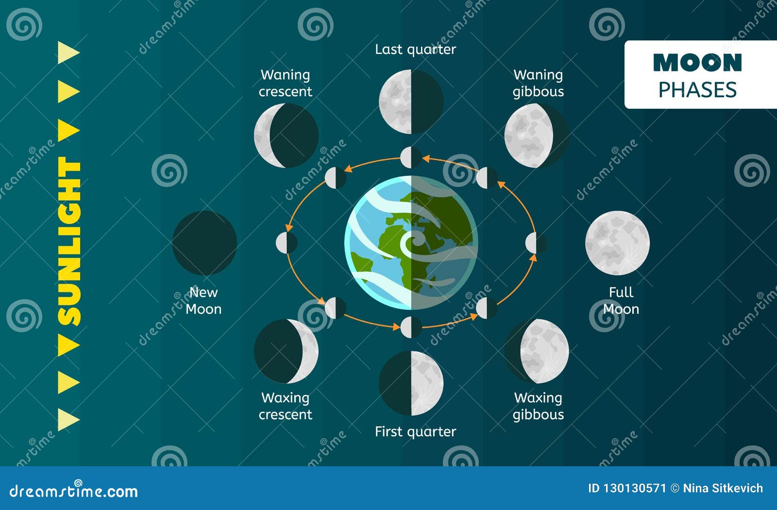Fond De Concept De Phases De Lune, Style Plat Illustration de Vecteur ...