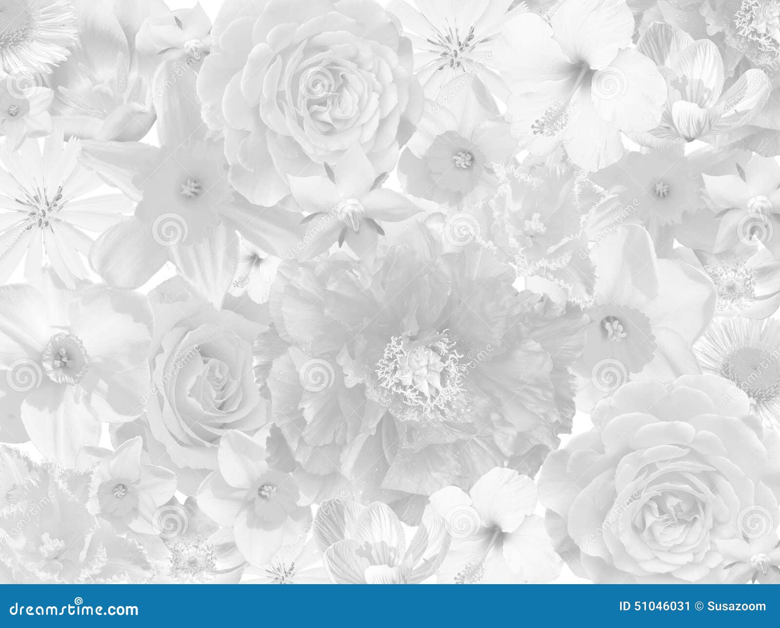 Fond de deuil floral image stock. Image du adieu, carte - 51046031