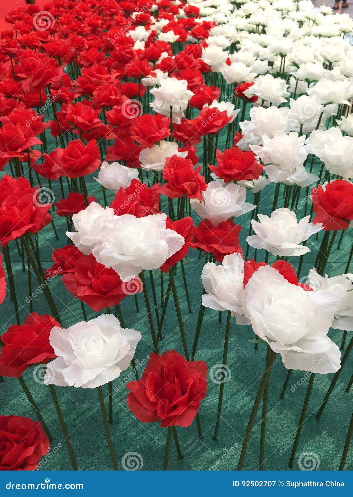 Descubra 48 kuva fleur rouge blanche - Thptnganamst.edu.vn Descubra 48 kuva fleur rouge blanche - Thptnganamst.edu.vn
