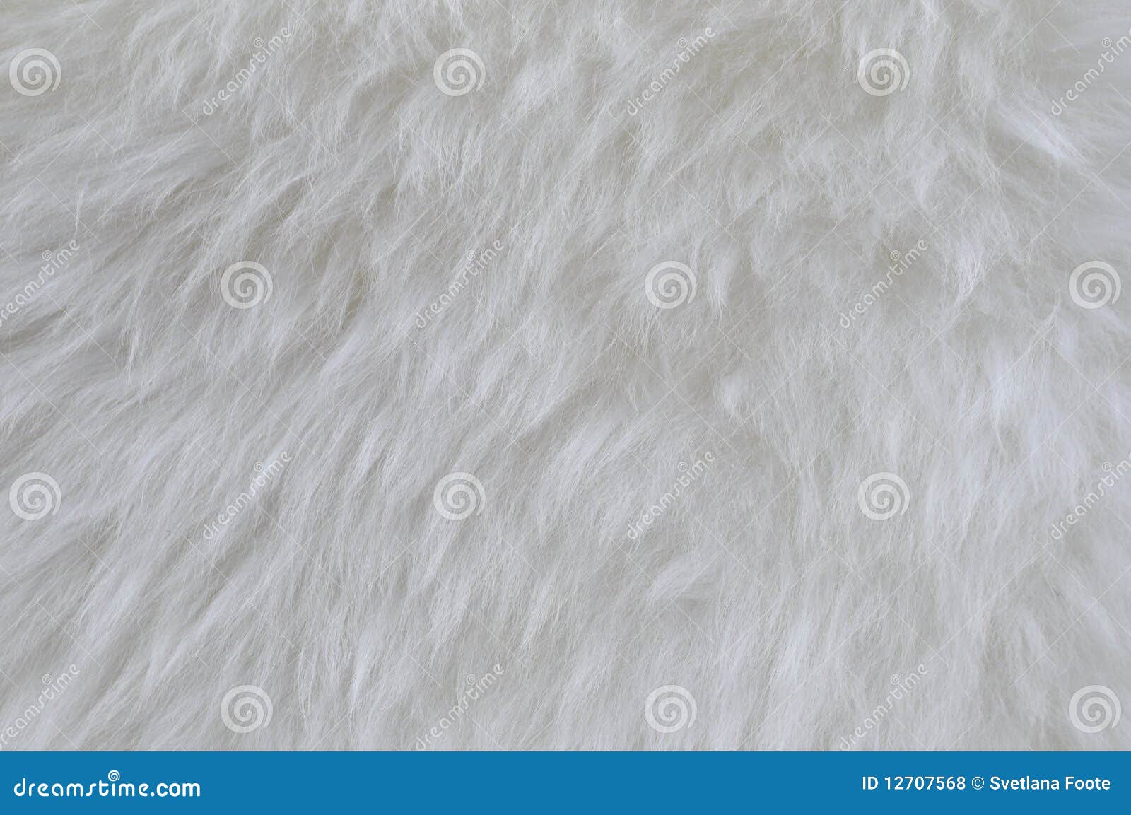 Fond de fourrure photo stock. Image du conception, fond - 12707568