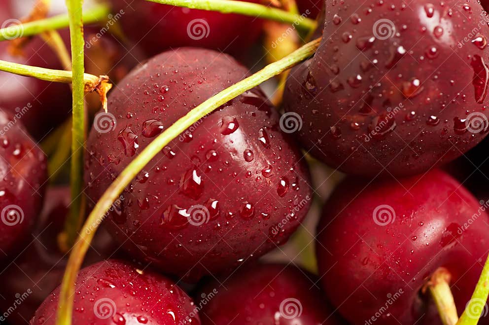 Fond de merise image stock. Image du noir, saisonnier - 39389547