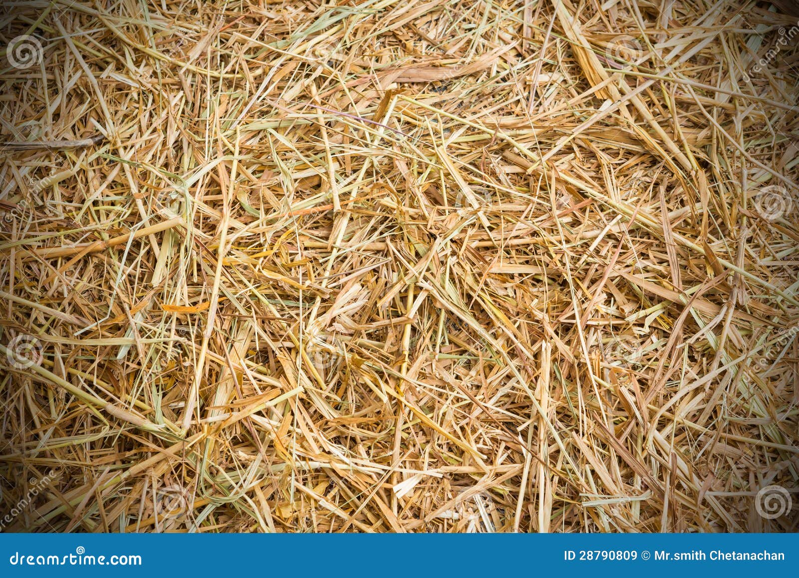 Fond de paille de riz image stock. Image du configuration - 28790809