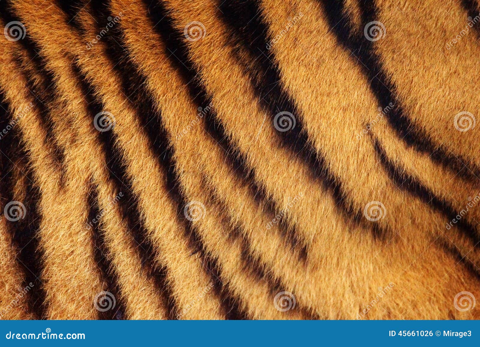 Images Fond De Rayure De Tigre - Téléchargez 124 Photos libres de droits