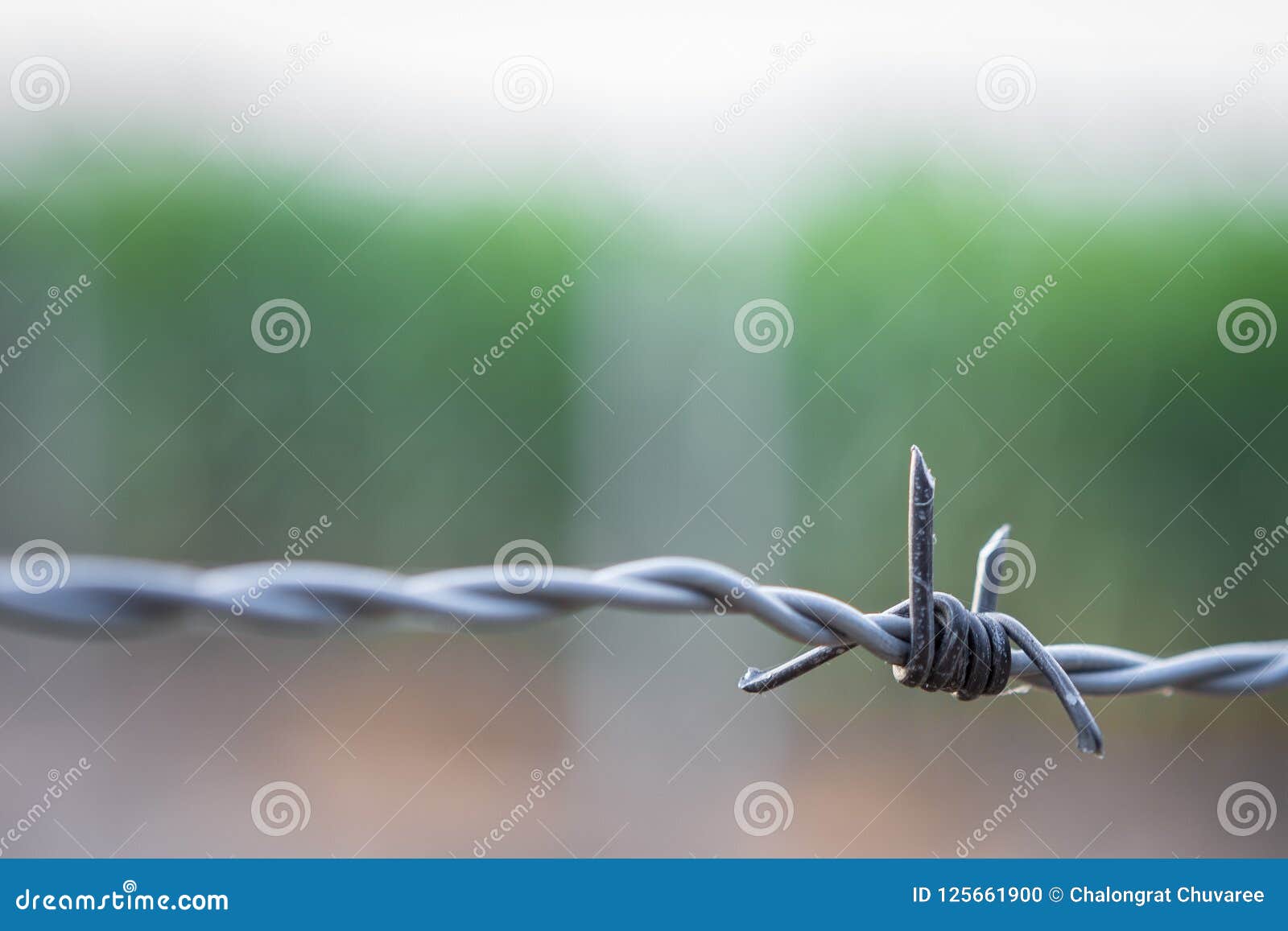 Fond de texture de barbelé photo stock. Image of prison - 125661900