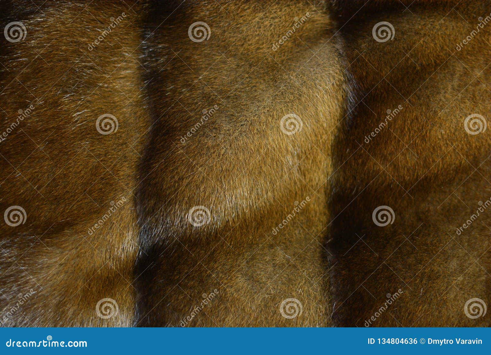 Fond De Texture De Fourrure De Vison Photo stock - Image du conception ...