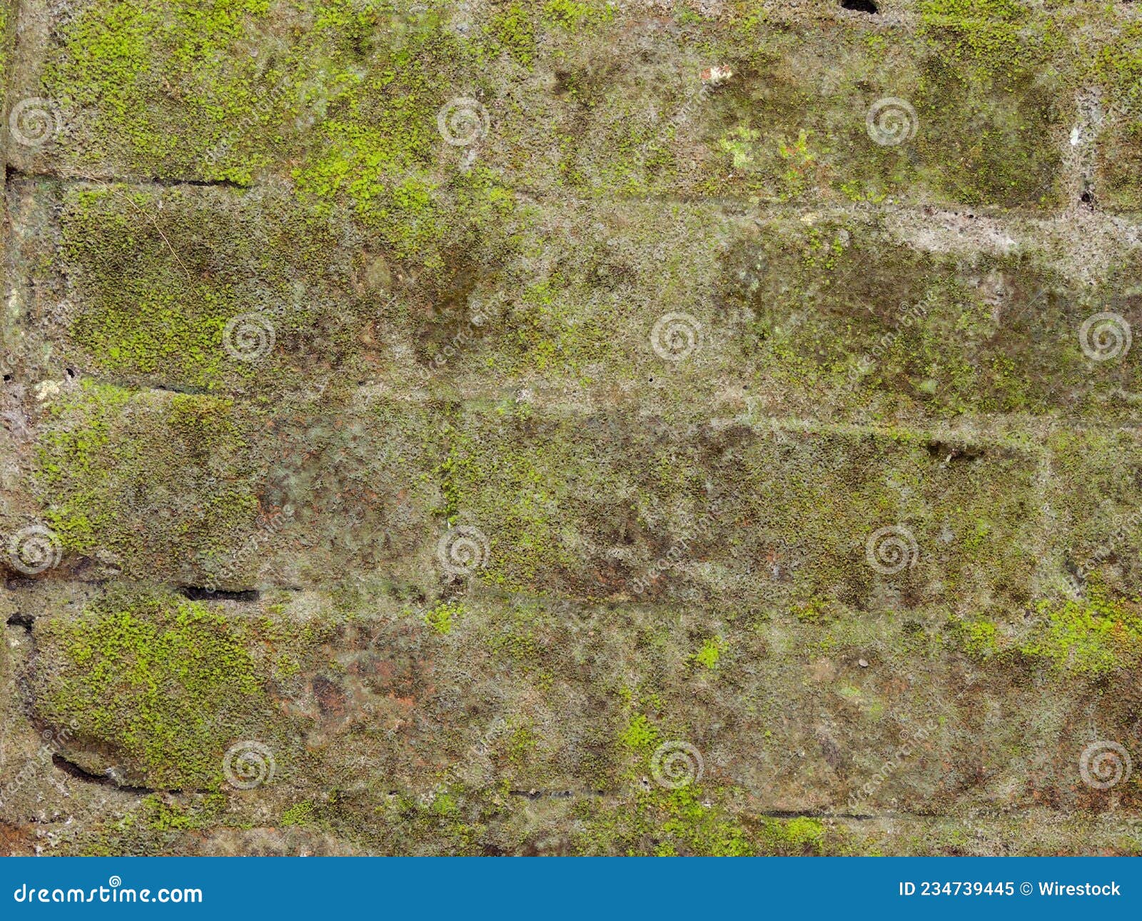 Fond De Texture De Pierre Recouvert De Mousse Image stock - Image du ...