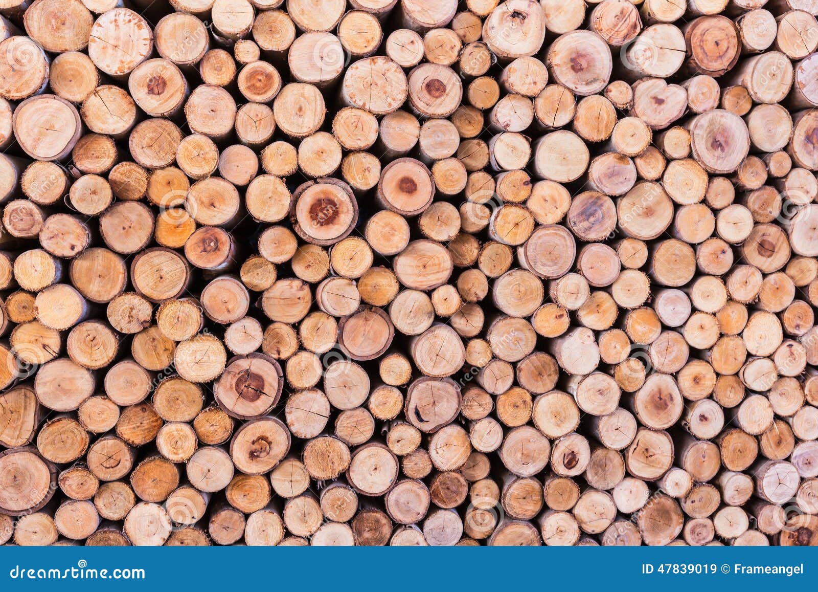 Fond En Bois De Texture De Rondin Image stock - Image du structure ...