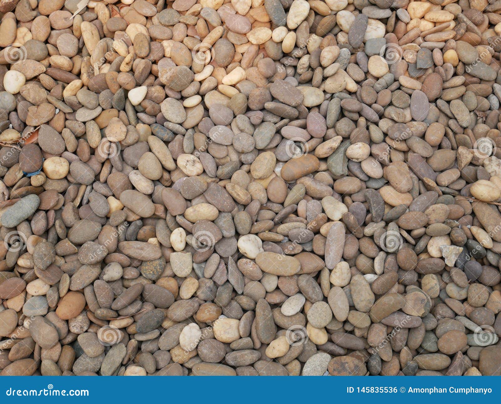 Fond En Pierre De Nature De Pebble Beach, Mod?le De Pierre De Caillou ...
