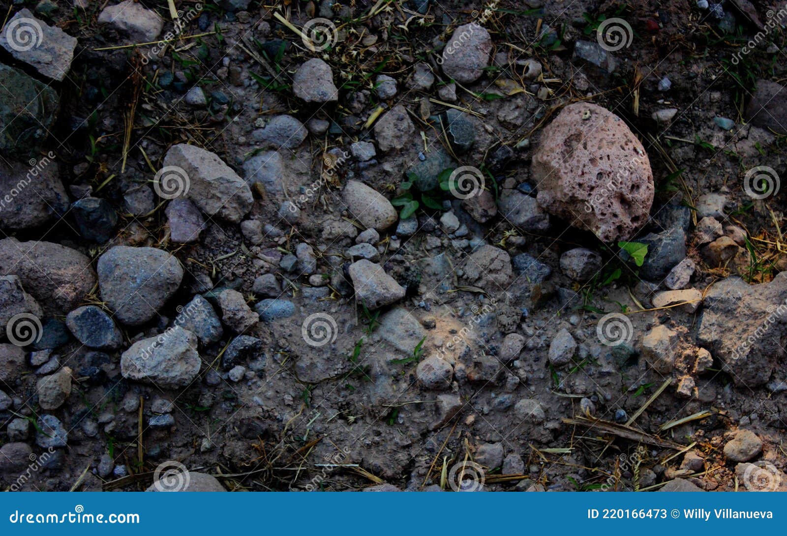 Fond Rocheux Avec Quelques Plantes Image stock - Image du matériau ...