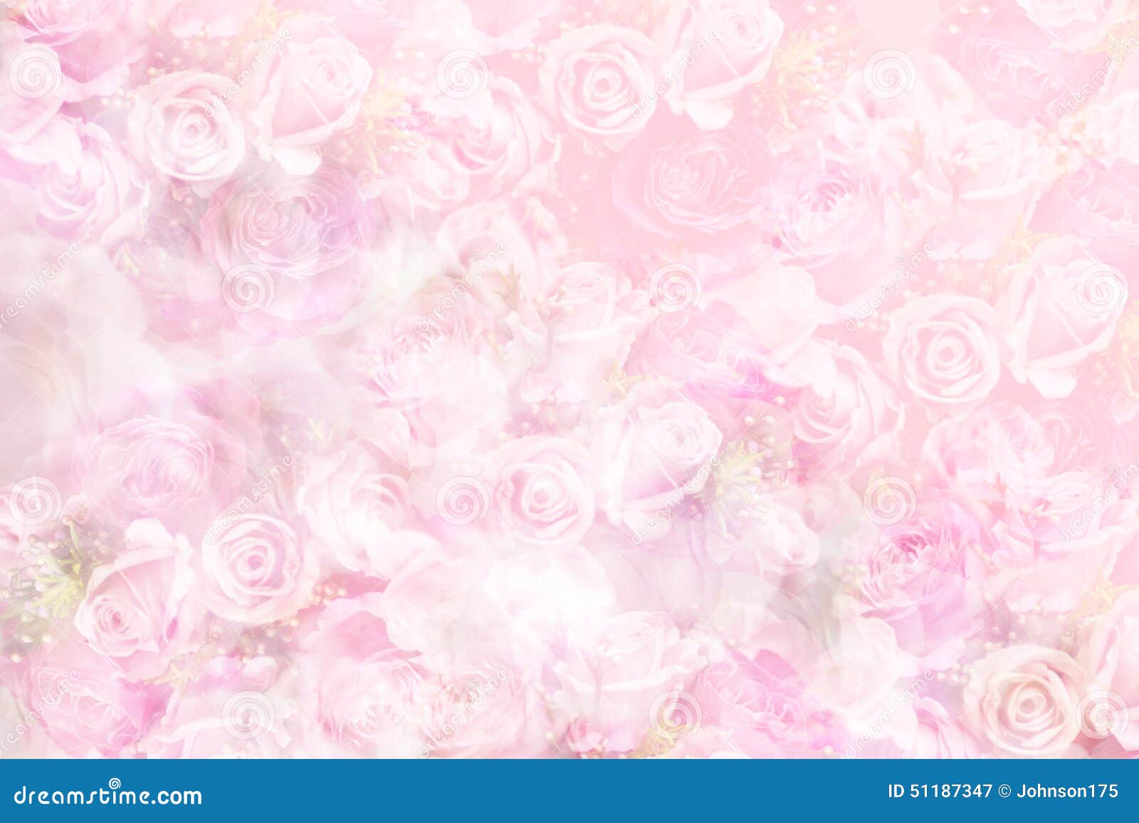 Fond Rose De Pastel Photo stock - Image: 51187347