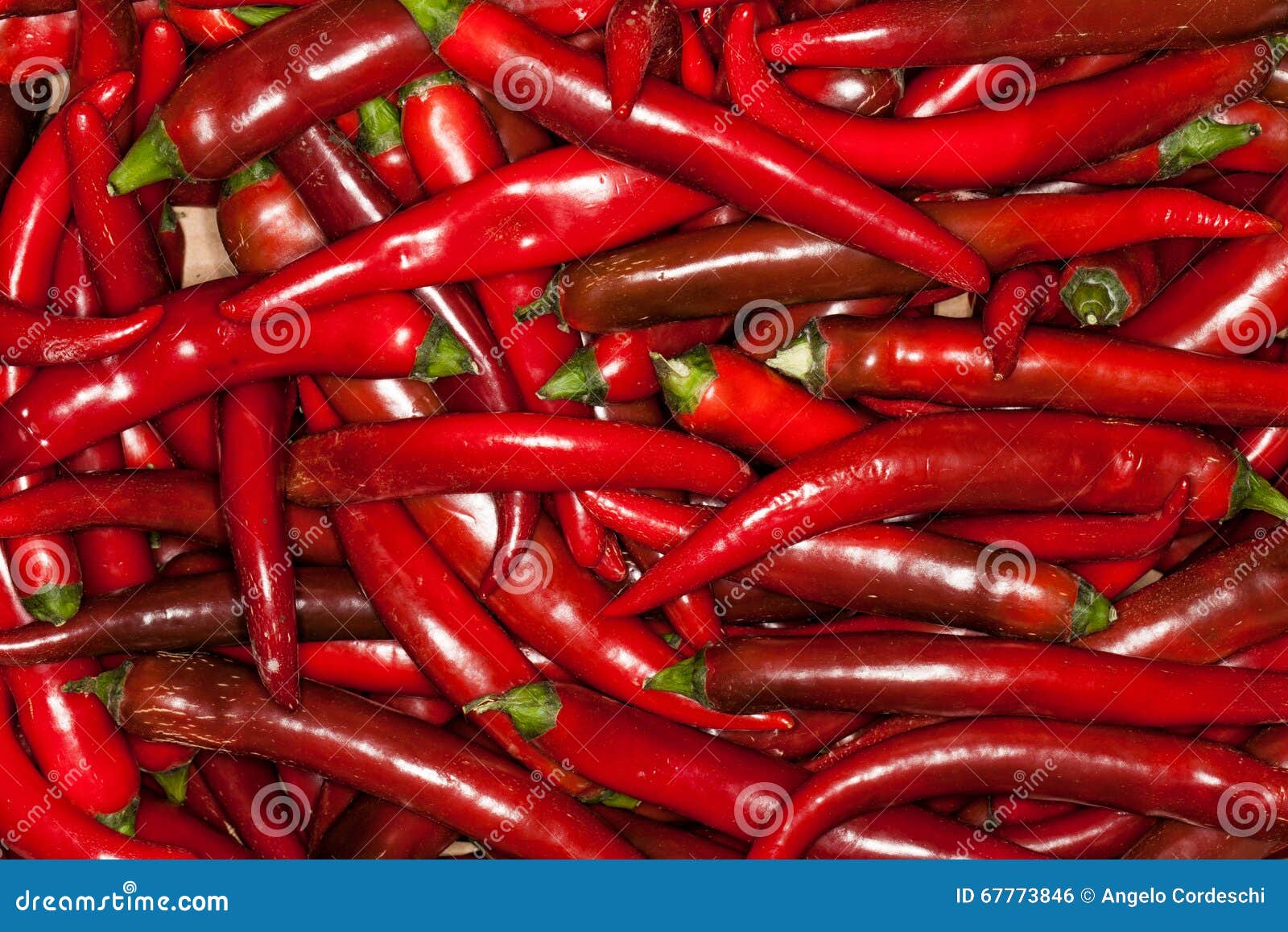 Fond rouge de piments pile photo stock. Image du cuisinier - 67773846