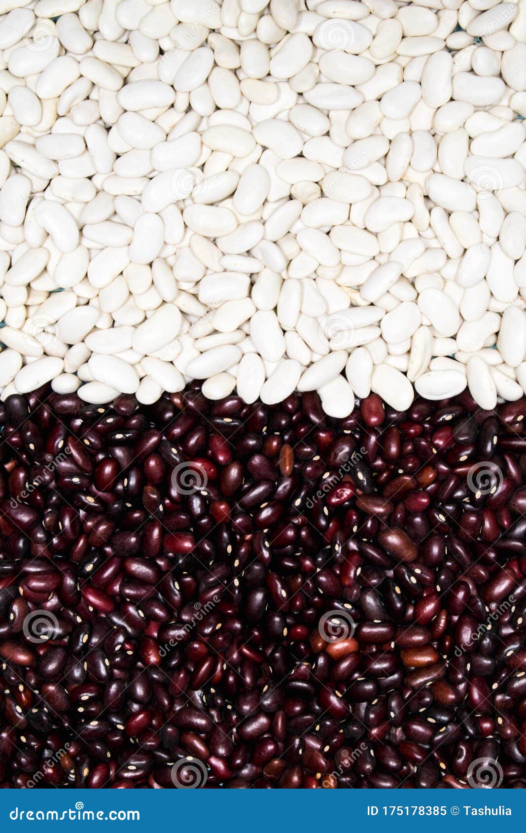 Arrière-plan De Haricot Rouge Et Blanc Image stock - Image du fermer ...