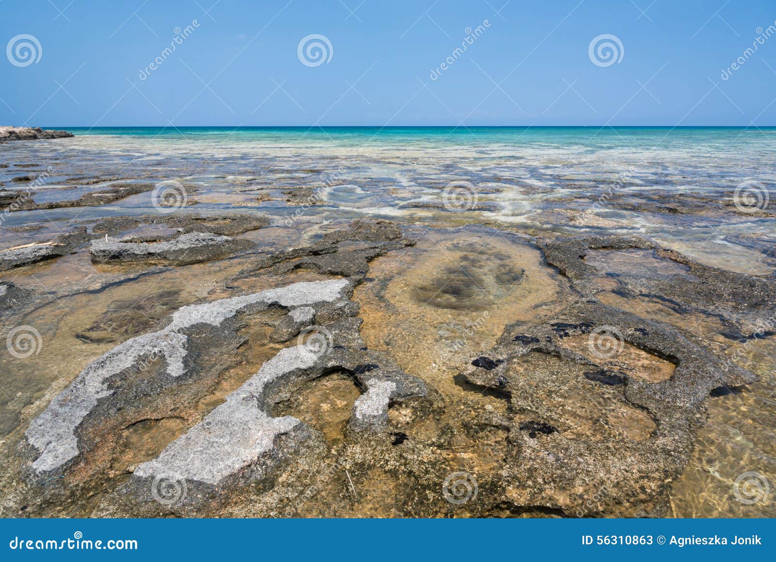 Fond sous-marin rocheux image stock. Image du horizontal - 56310863