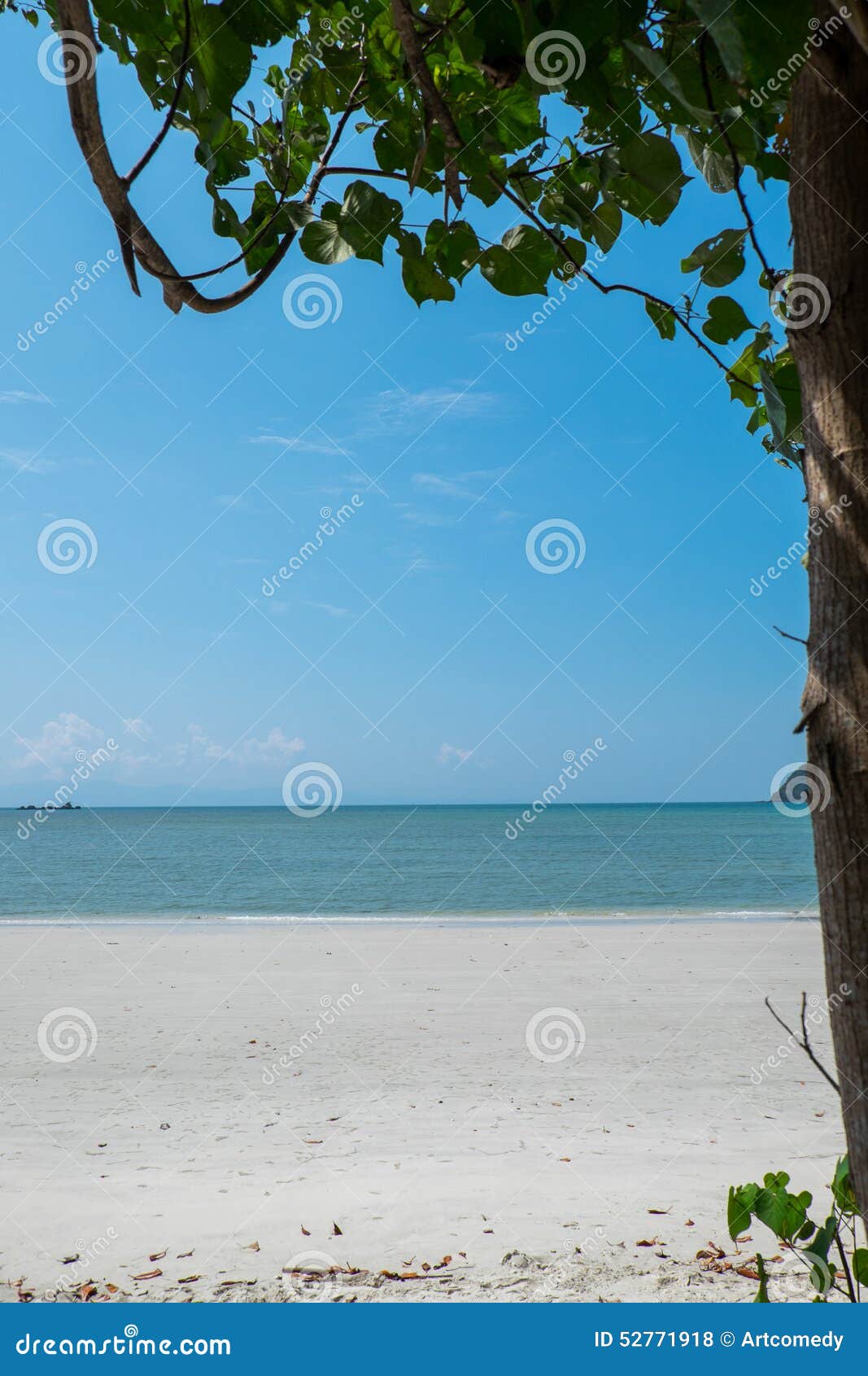 Fond Vert D'eau De Mer De Couleur Photo stock - Image du clair, soleil ...