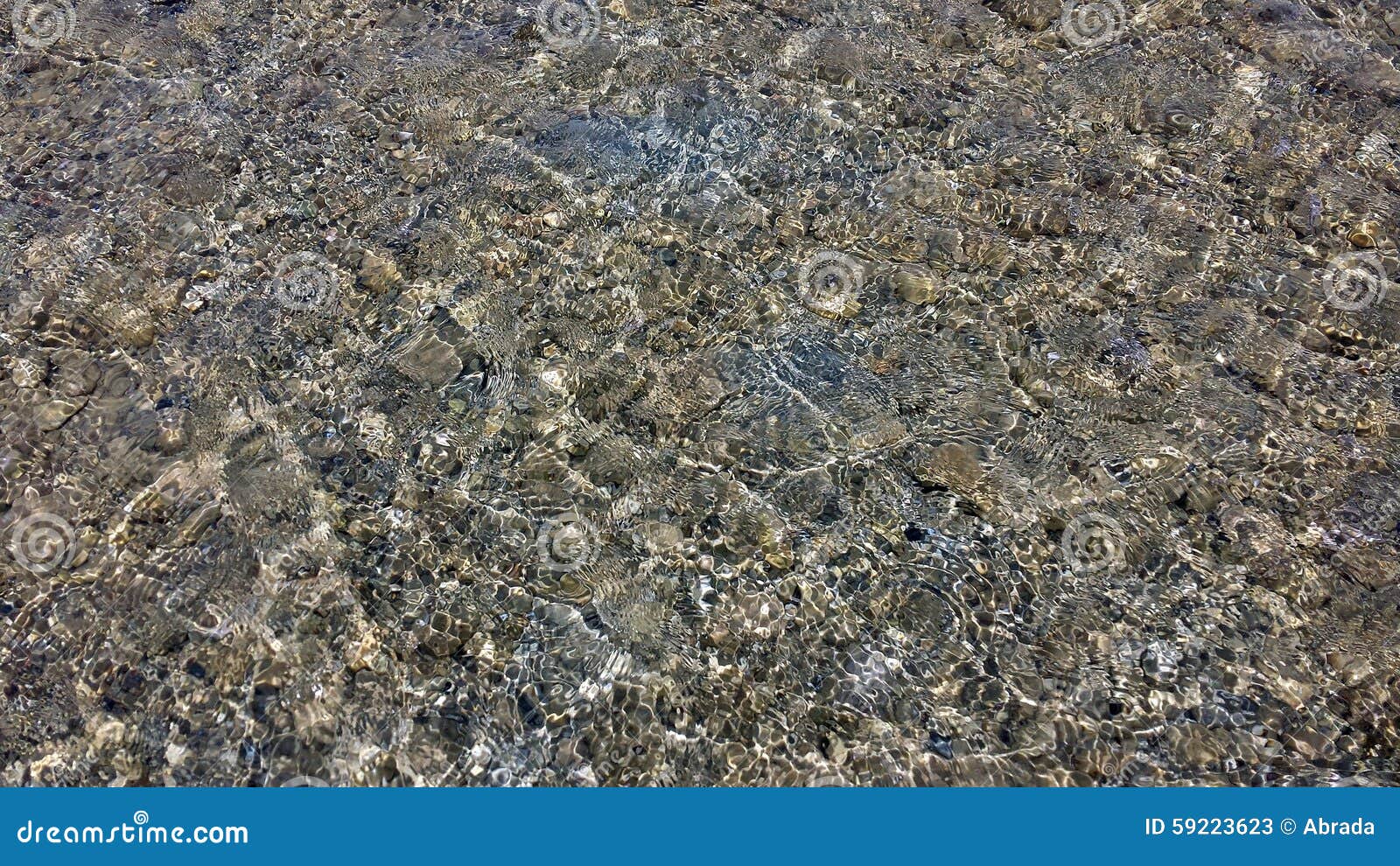 Fondale Marino Sabbioso E Roccioso Immagine Stock - Immagine di ...