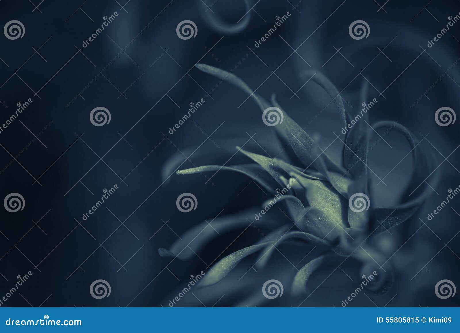 Fondo Abstracto De La Planta Imagen de archivo - Imagen de espacio ...