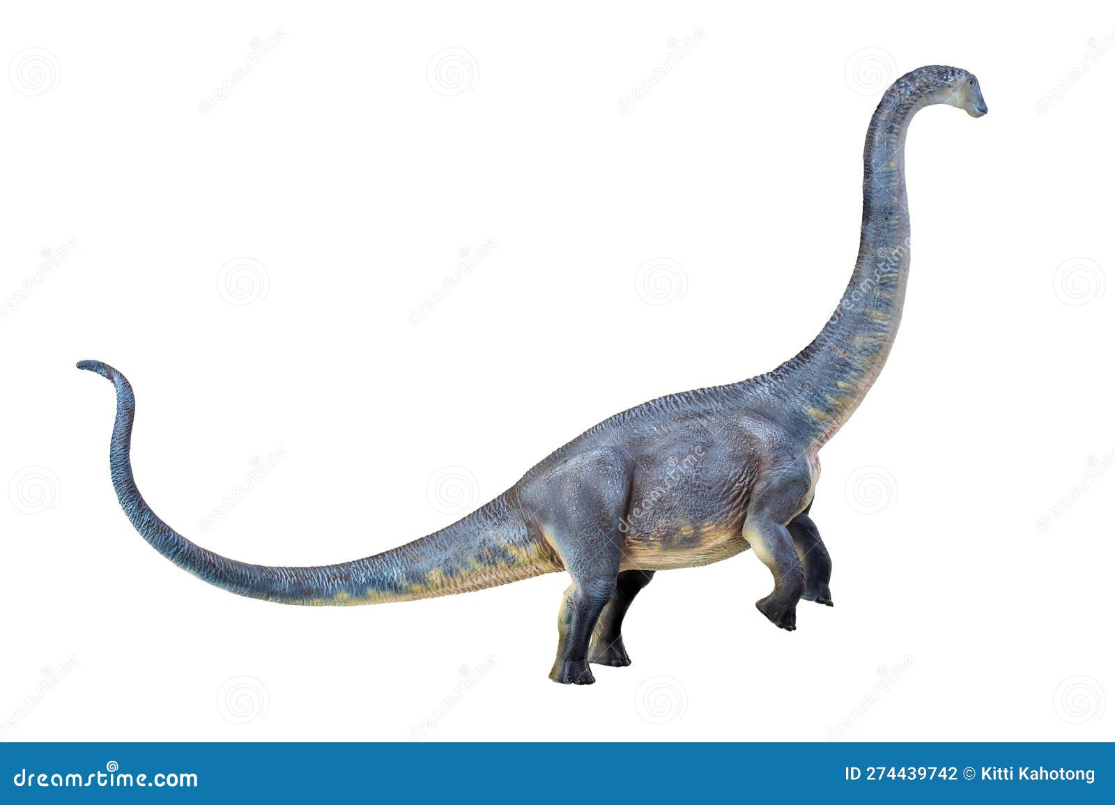 Fondo Aislado De Dinosaurio Brontosauro Foto de archivo - Imagen de ...