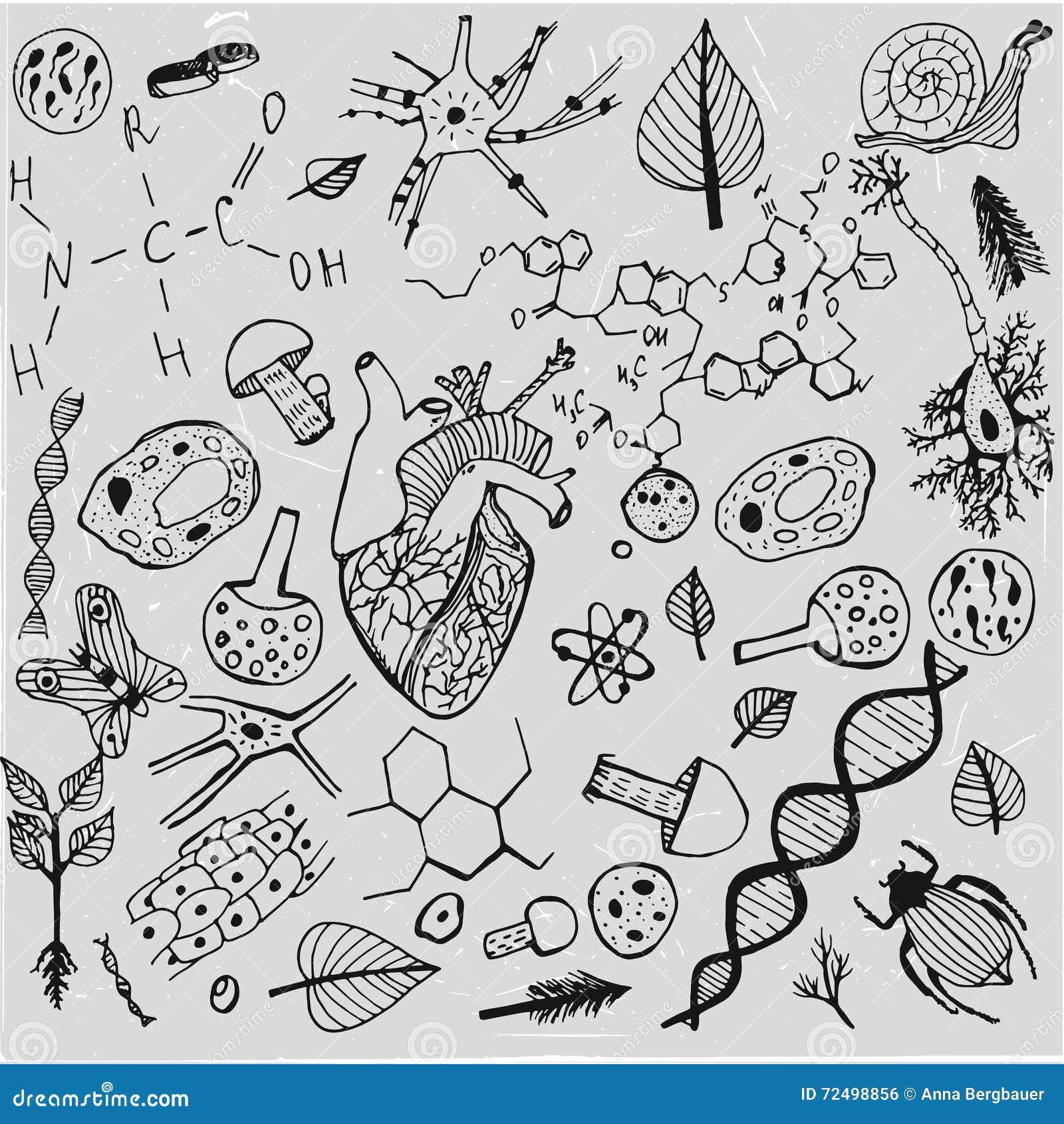 Fondo biológico del vector ilustración del vector. Ilustración de ...