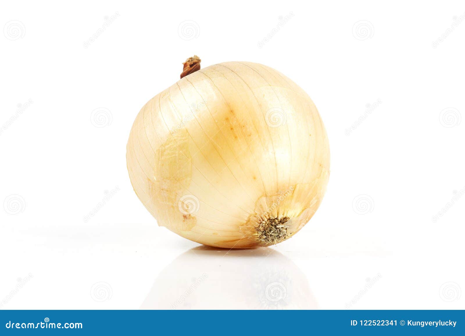 Fondo Blanco Aislado Cebolla Fresca Imagen de archivo - Imagen de ...