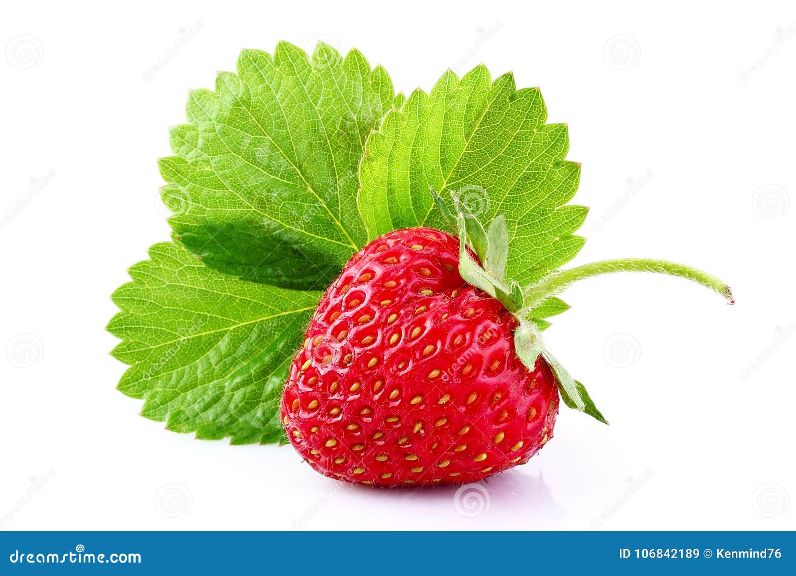 Fondo blanco aislado fresa imagen de archivo. Imagen de bueno - 106842189
