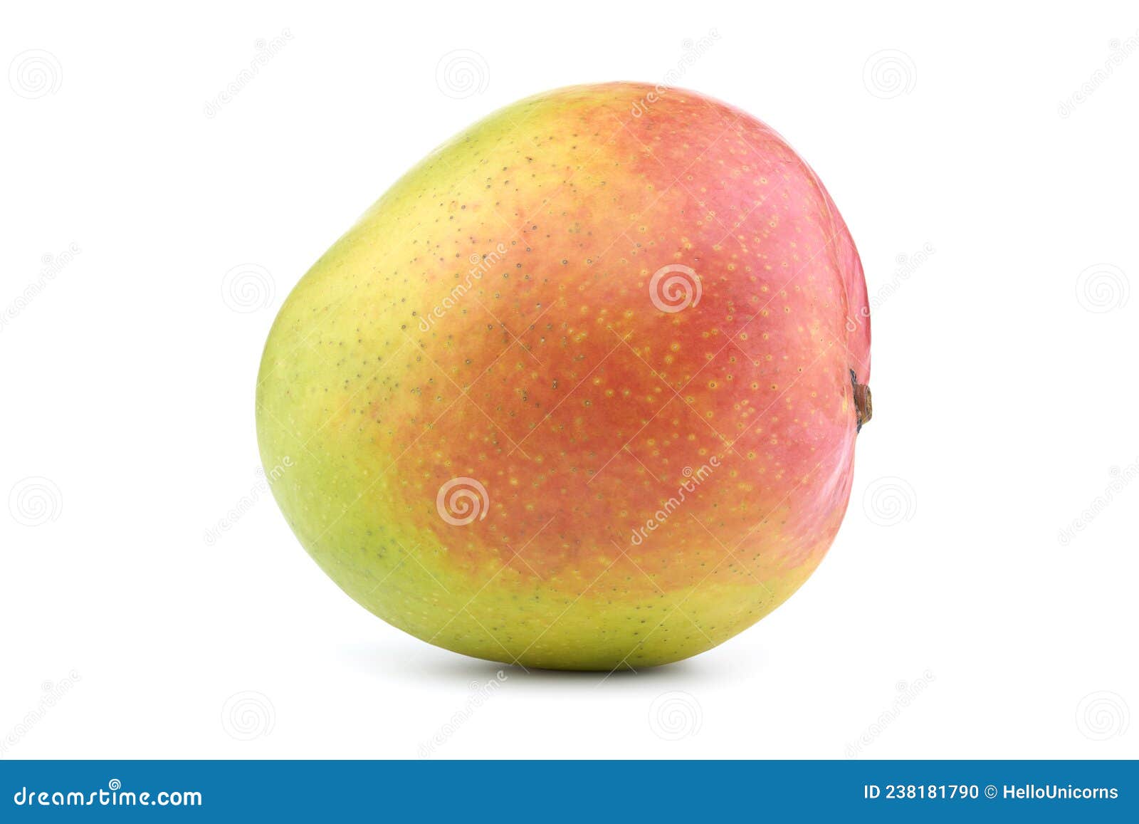 Fondo Blanco De Frutos De Mango Aislado Foto de archivo - Imagen de ...