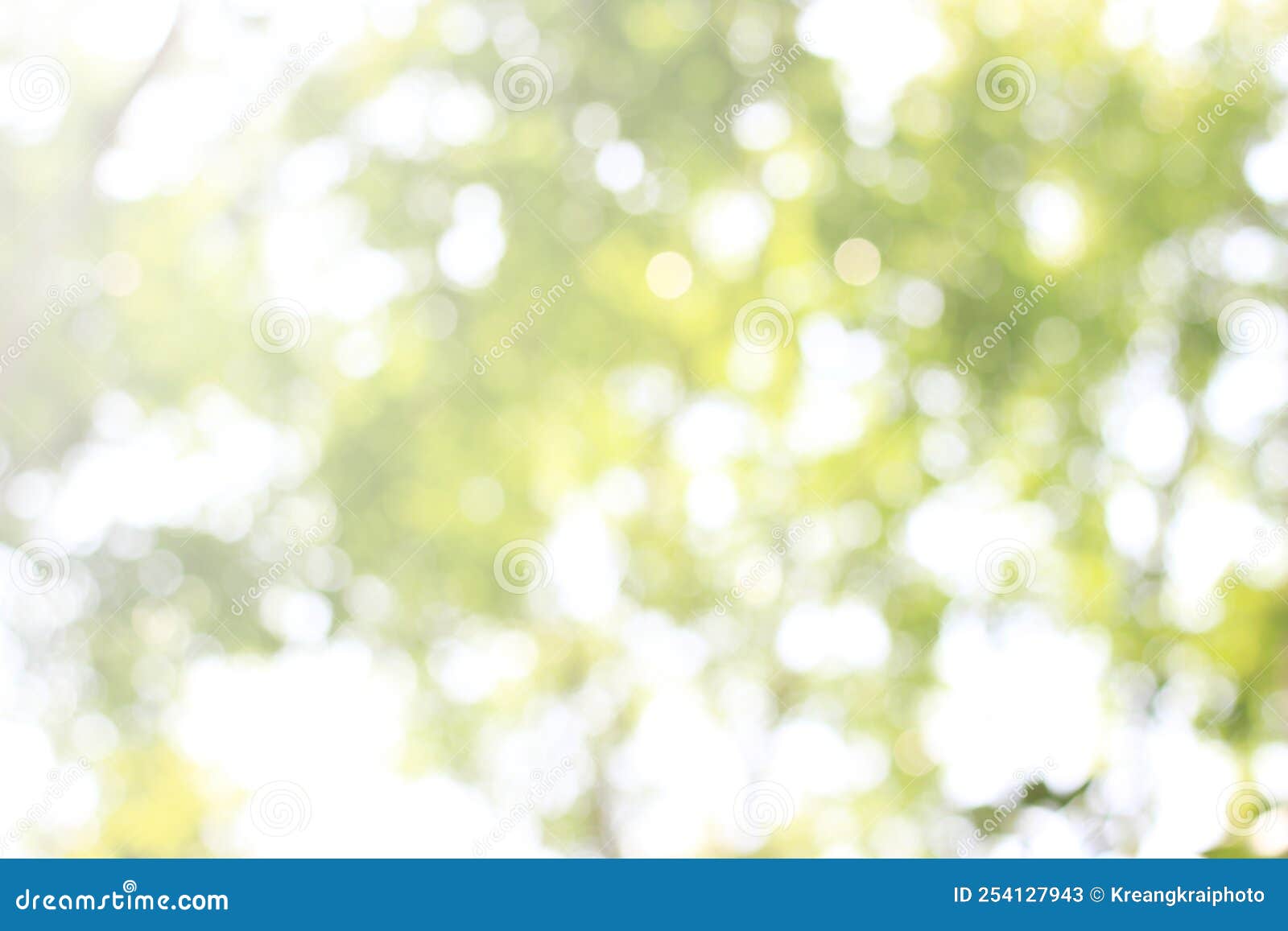 Fondo borroso verde imagen de archivo. Imagen de enmascarado - 254127943