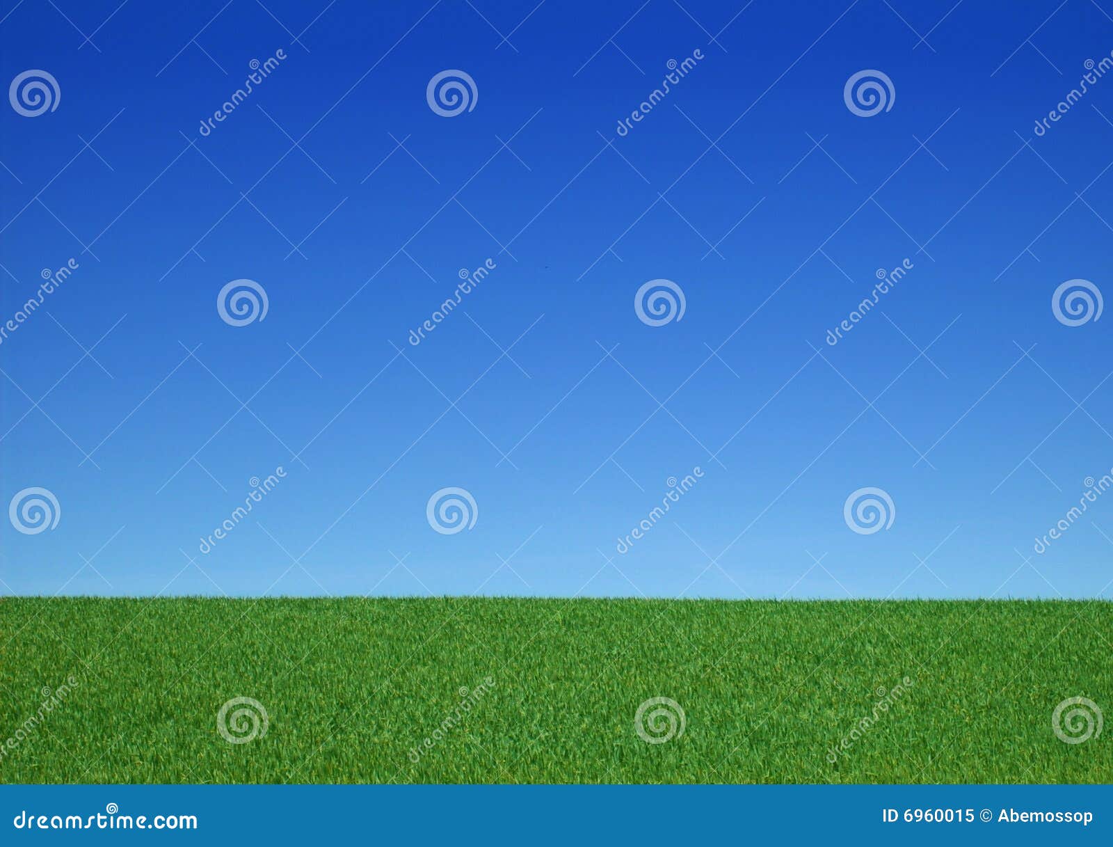 Fondo - Claro - Prado Con El Cielo Azul Imagen de archivo - Imagen de ...