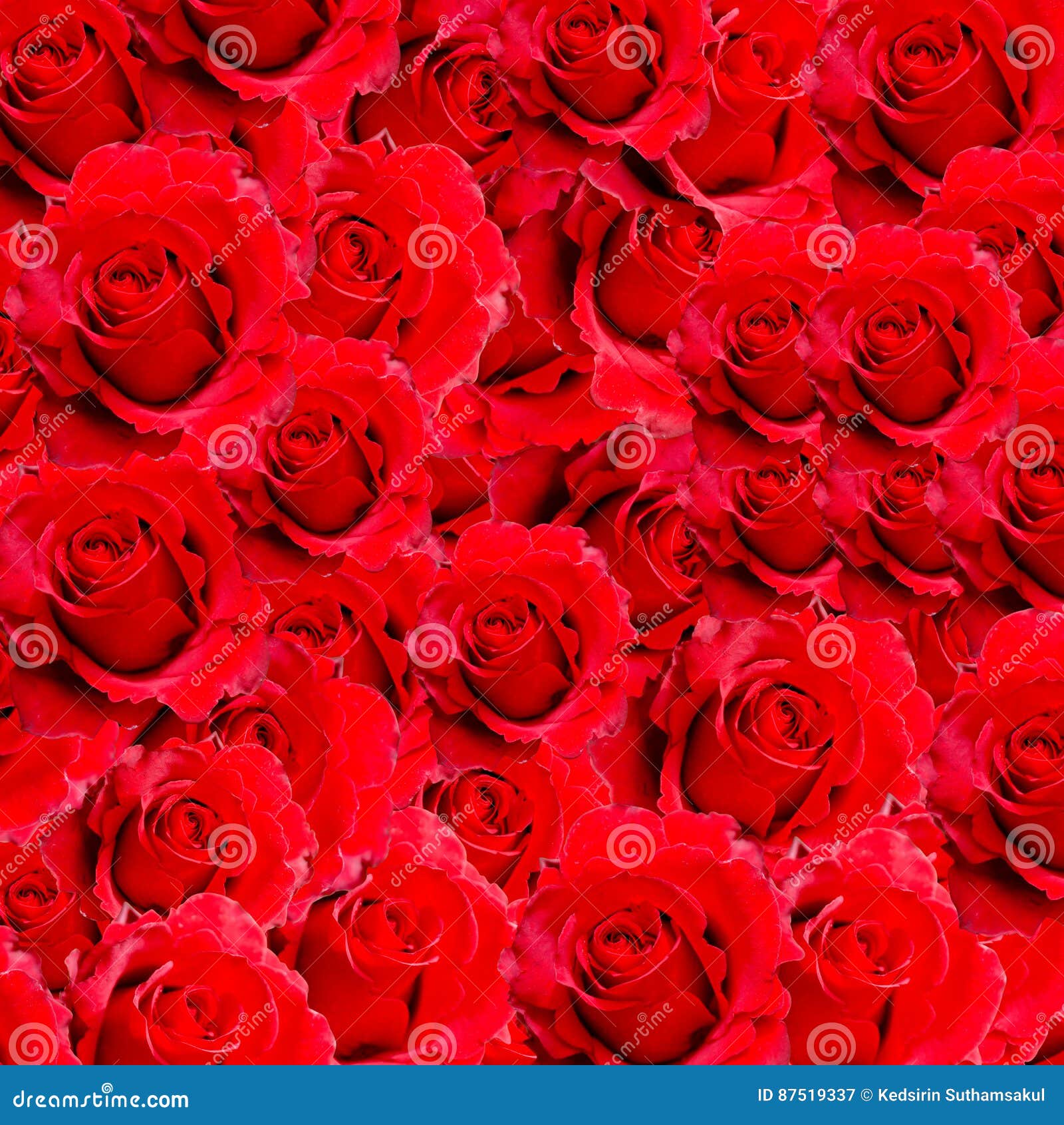 Fondo Color De Rosa Del Rojo Imagen de archivo - Imagen de color ...