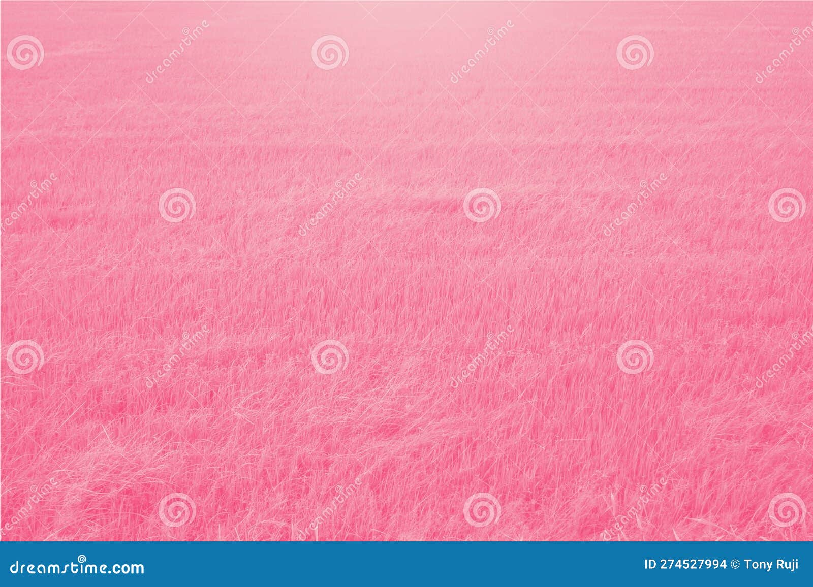 Fondo De Césped. Textura De Pasto De Color Foto de archivo - Imagen de ...